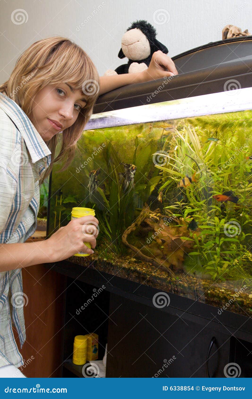 Girl Feeding Fish in Aquarium Stock Photo - Image of apartment, indoor ...