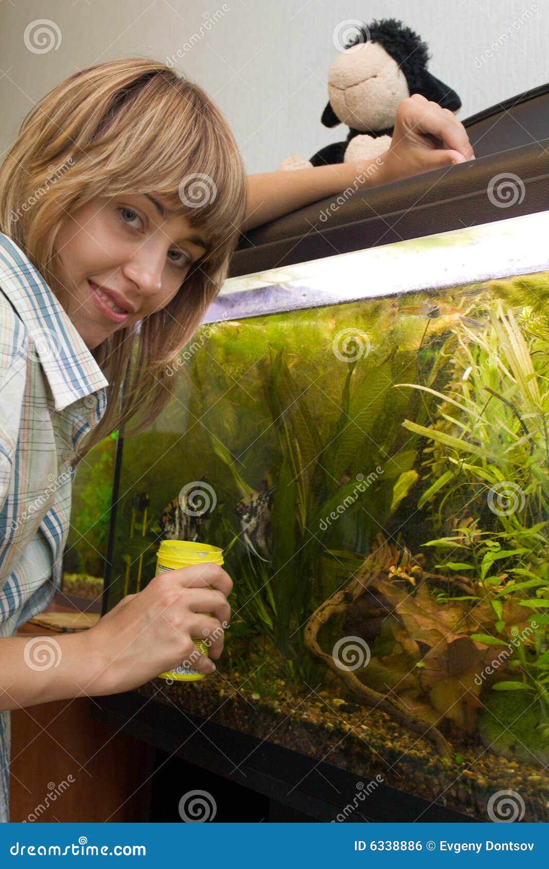 Girl Feeding Fish in Aquarium Stock Photo - Image of water, glass: 6338886