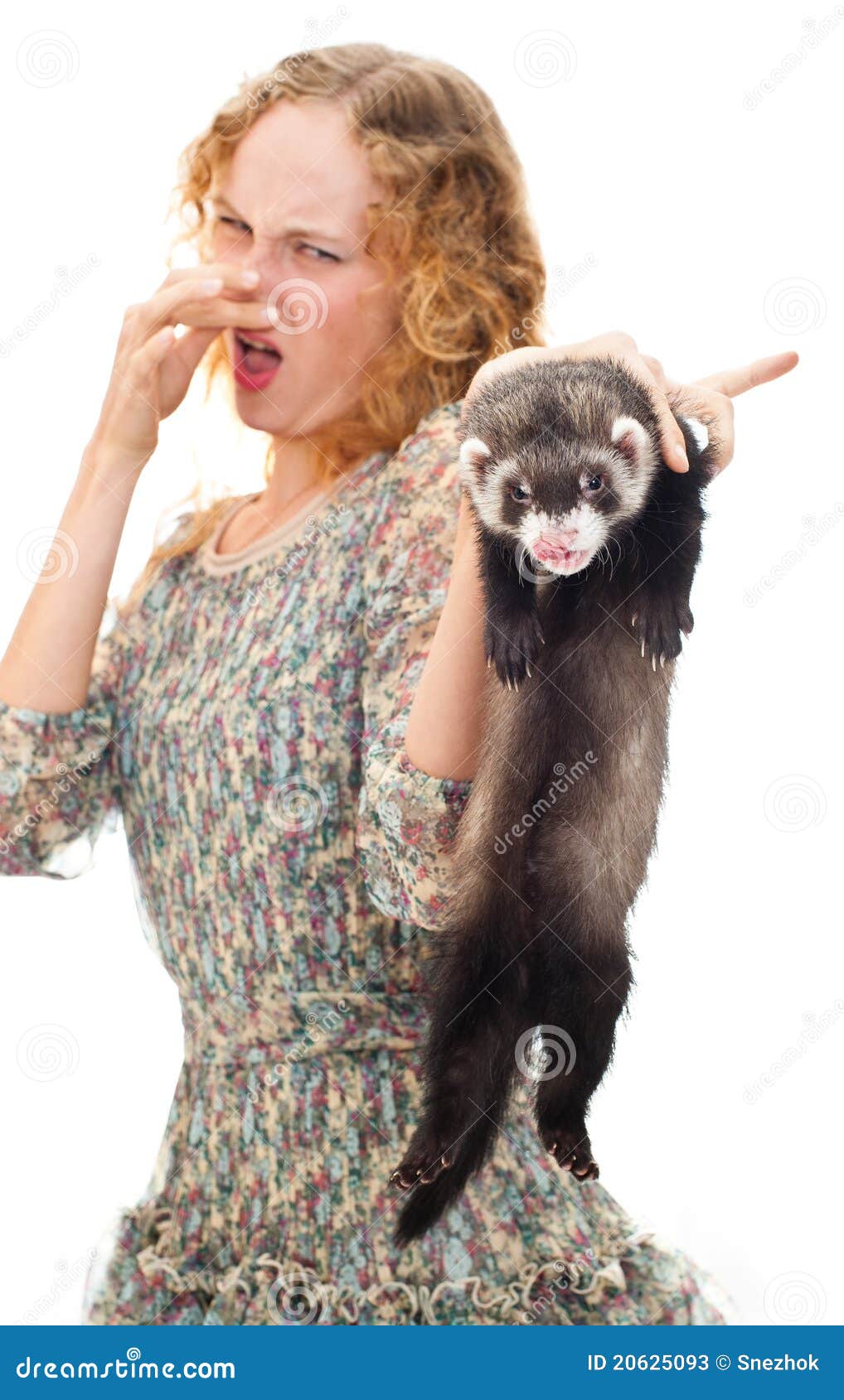 Girl with the ferret stock image. Image of finger, revulsion - 20625093