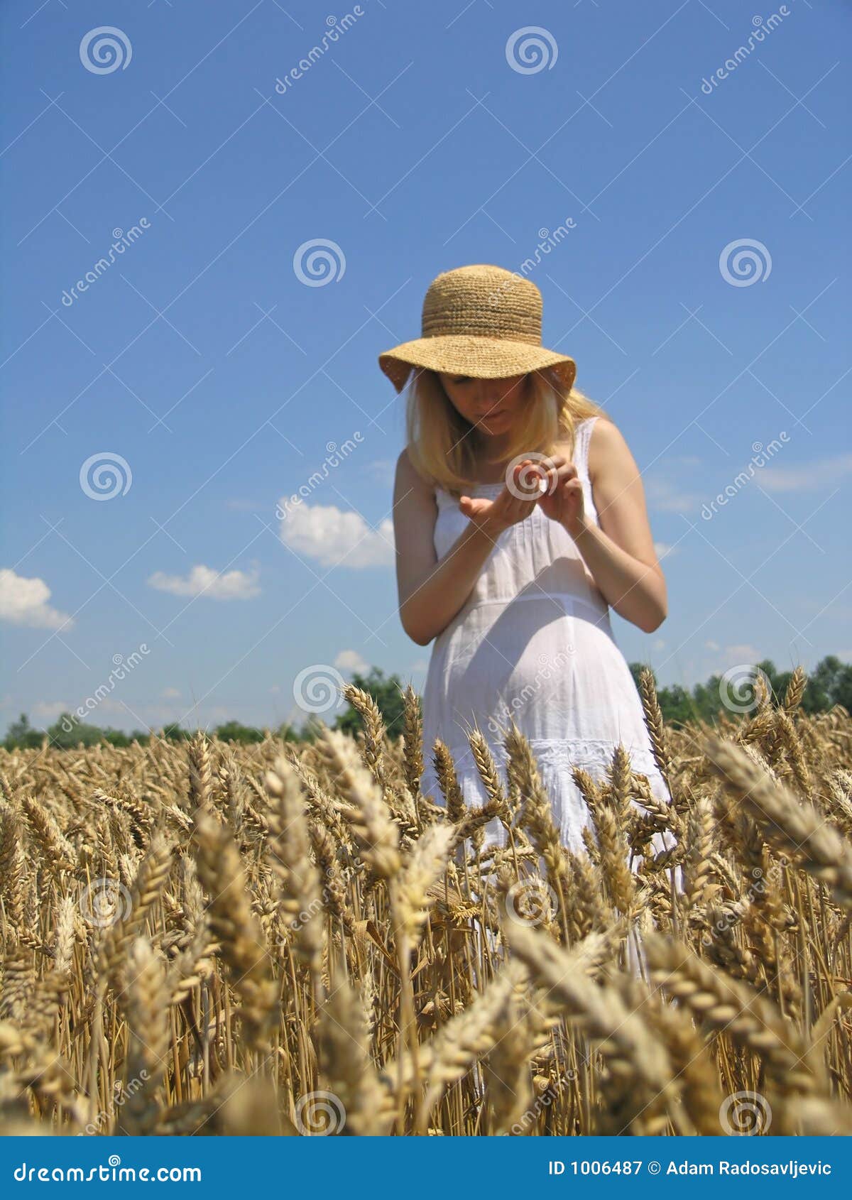 Girl in field stock image. Image of girl, seasons, harvest - 1006487