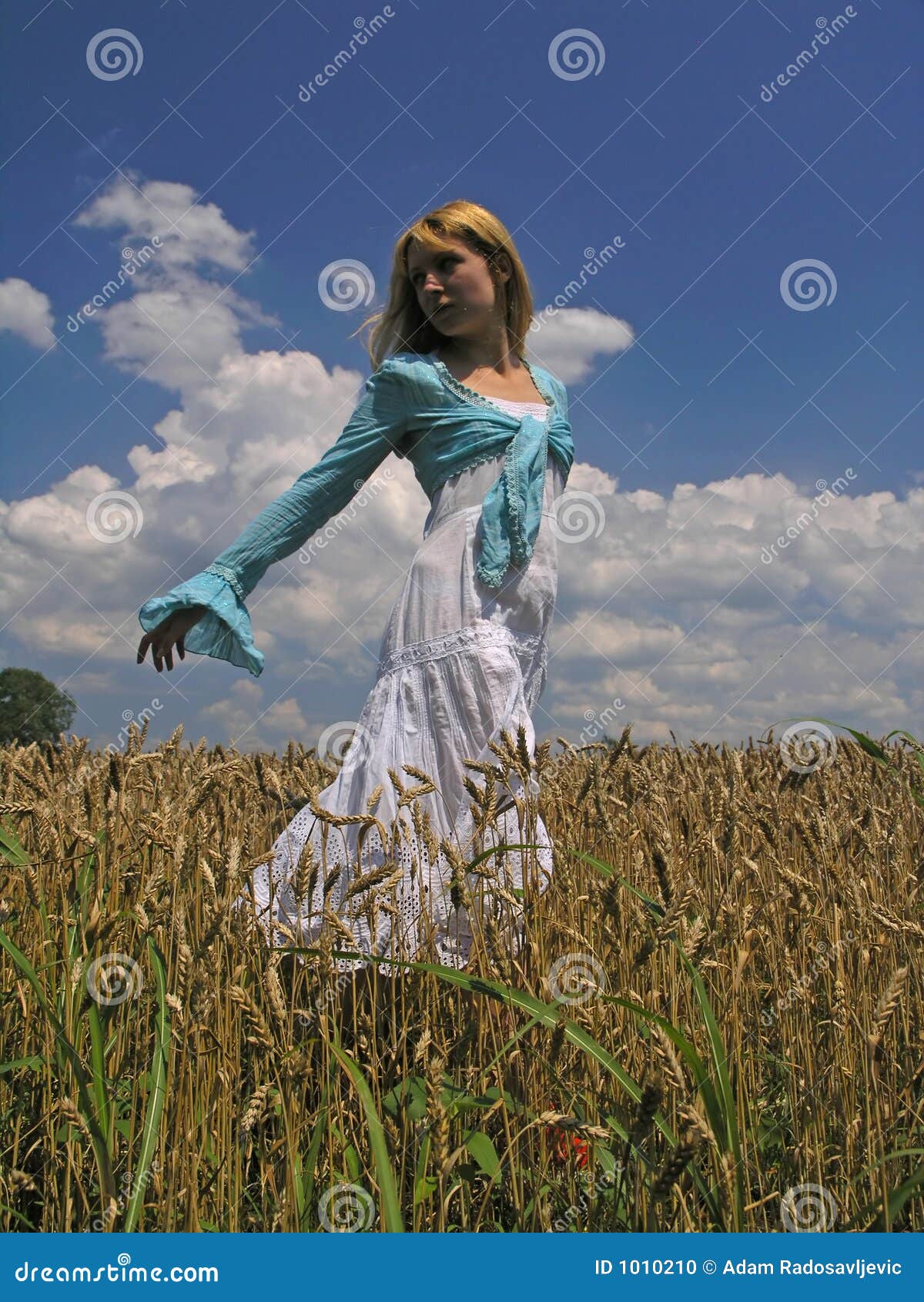 Girl in field stock photo. Image of lady, idyllic, landscape - 1010210