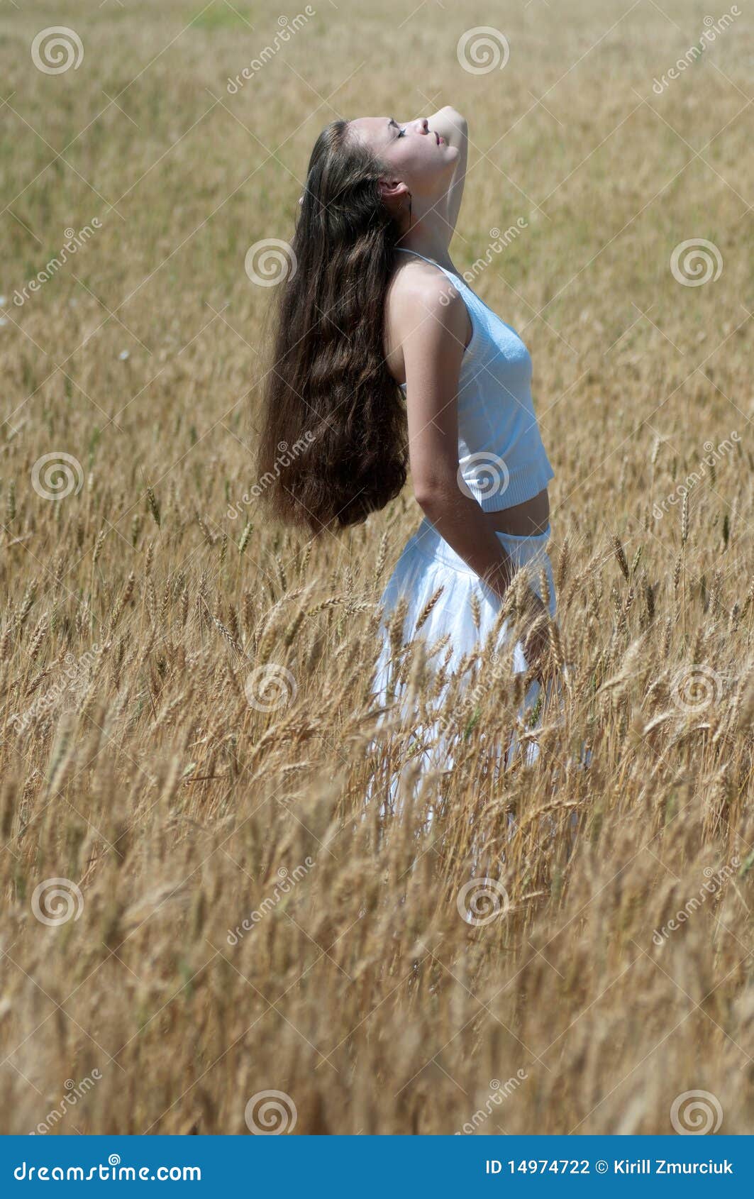Girl in the field stock photo. Image of fresh, summer - 14974722