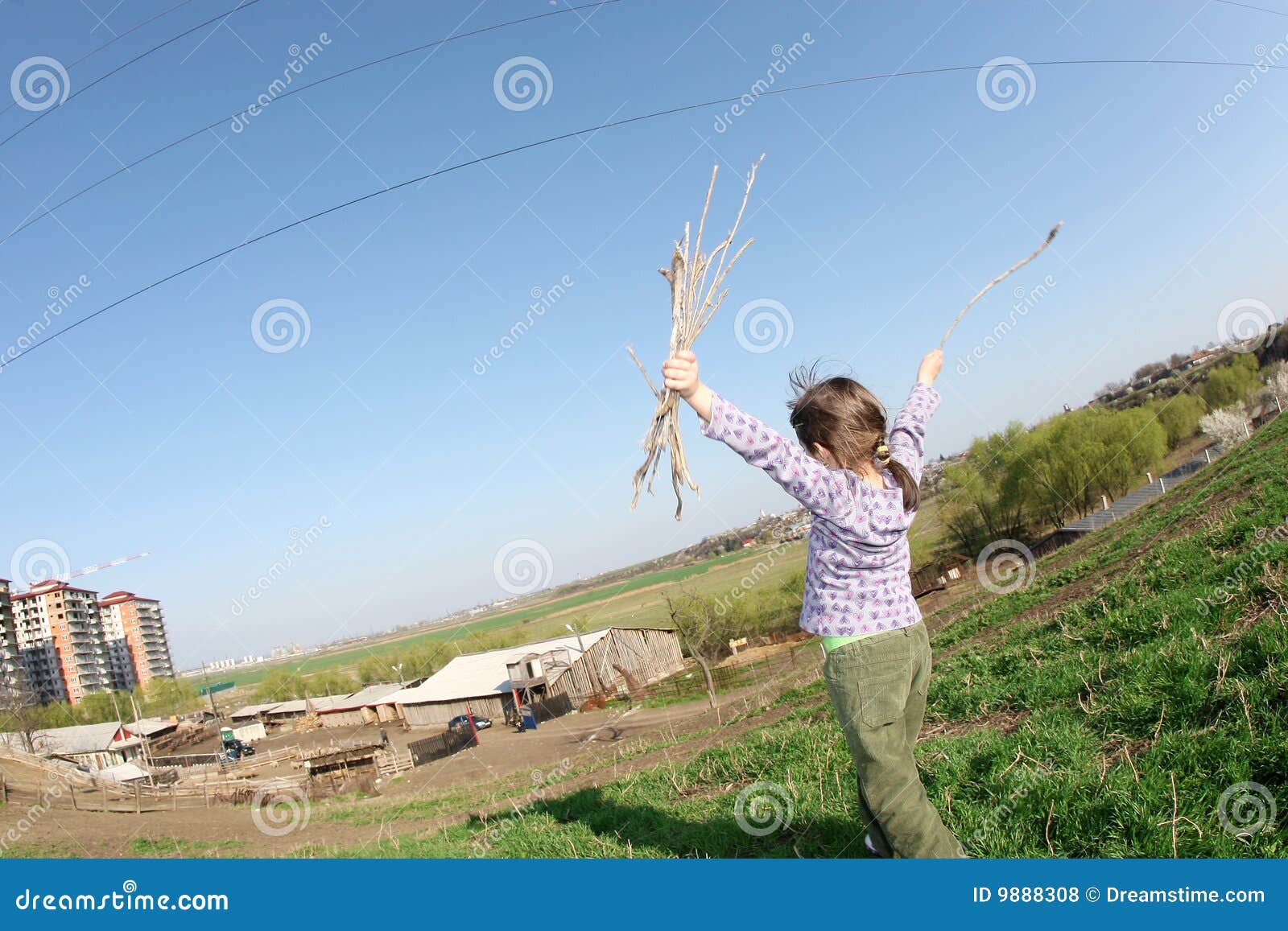 Girl on the field stock photo. Image of playground, countryside - 9888308