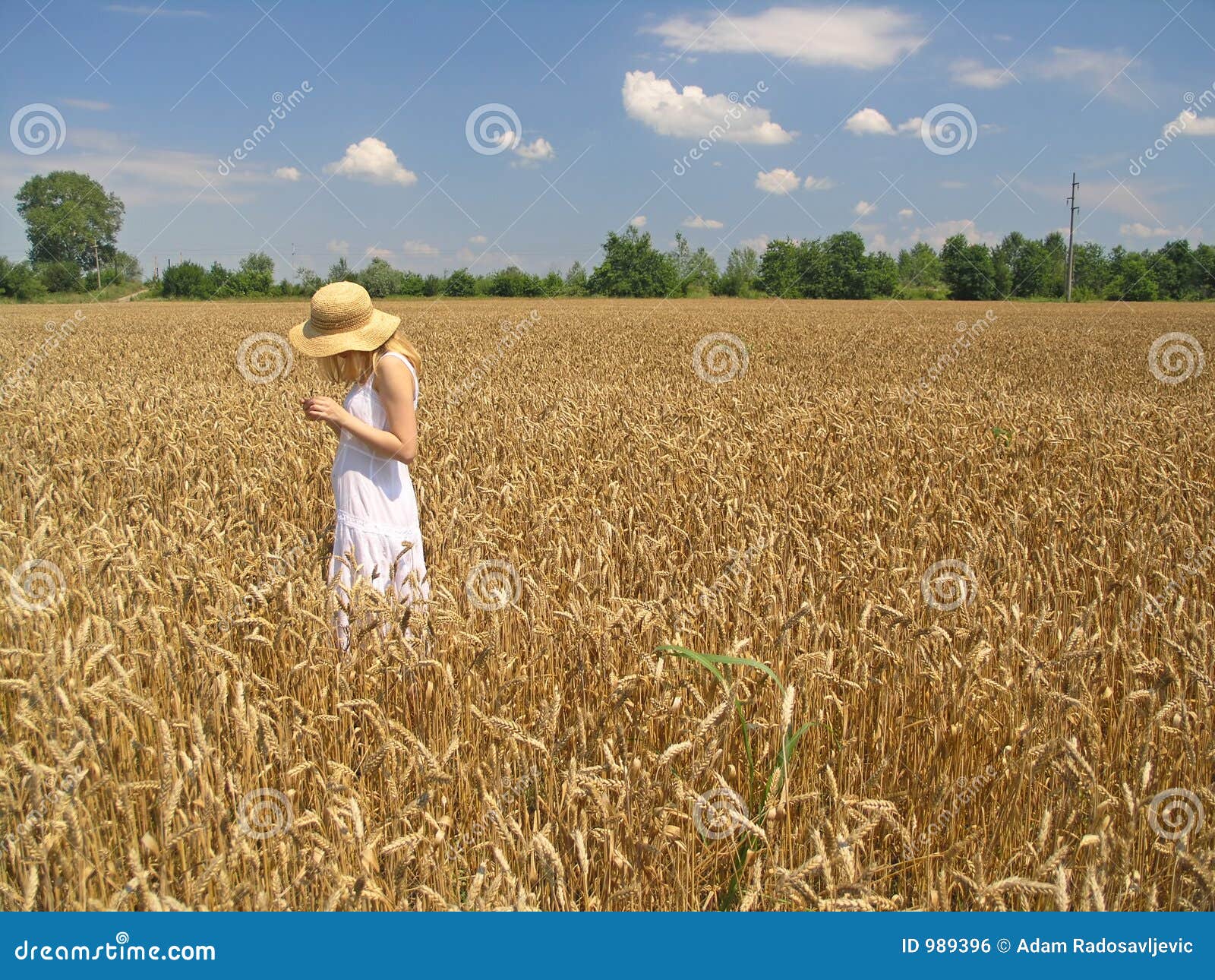 Girl in field stock photo. Image of girl, nature, scene - 989396