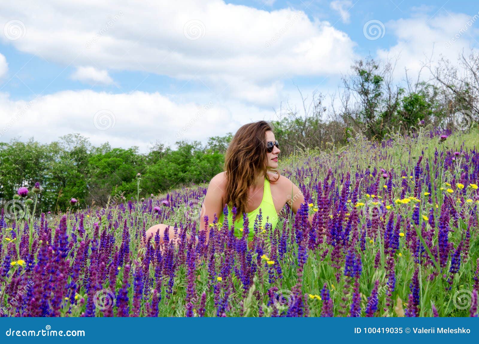 Girl in the grass stock image. Image of clouds, summer - 100419035