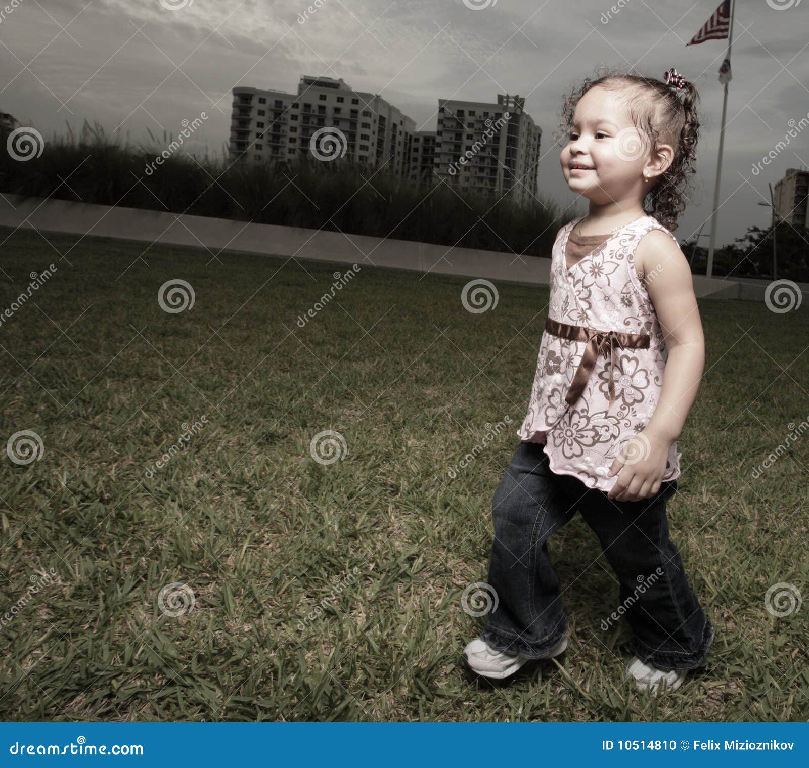 Girl in a field of grass stock photo. Image of happy - 10514810
