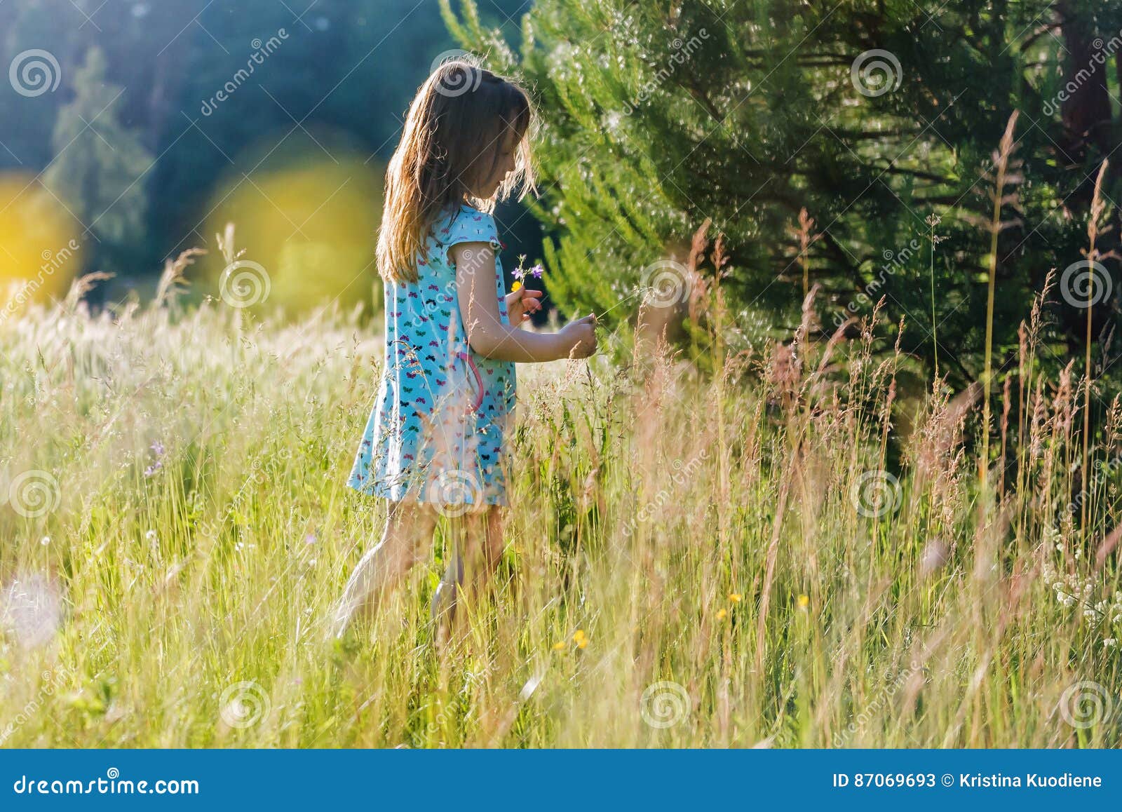 Girl in Field stock image. Image of alone, blue, summer - 87069693