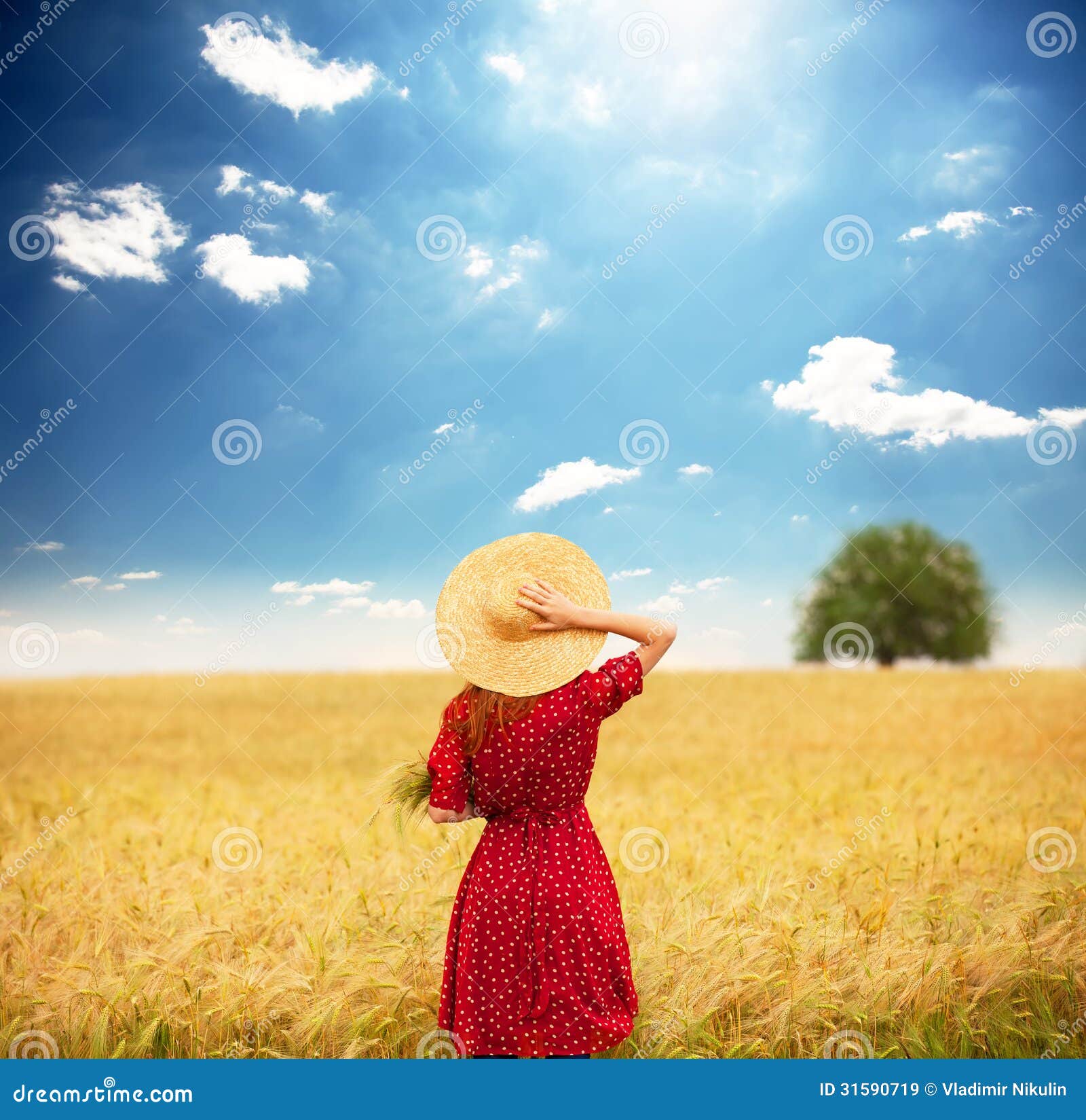 Girl at field stock image. Image of countryside, emotion - 31590719