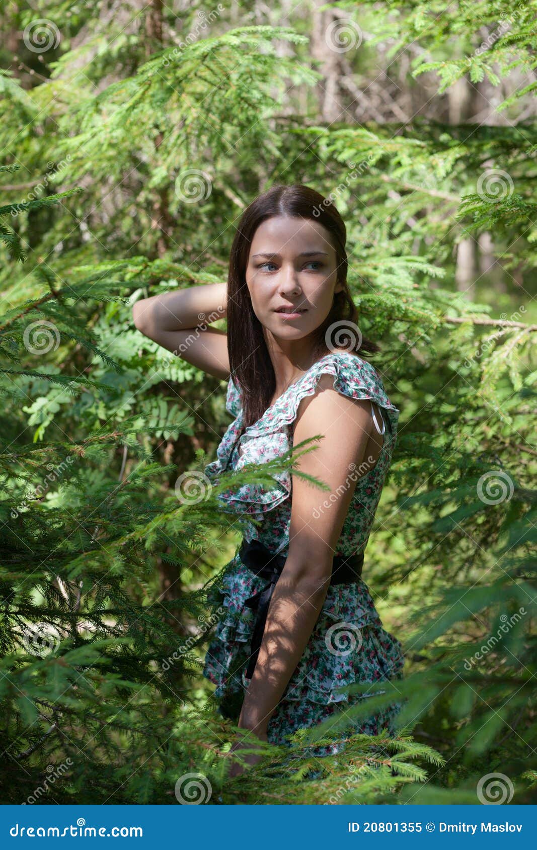 Girl in fir-tree wood stock image. Image of girl, nature - 20801355