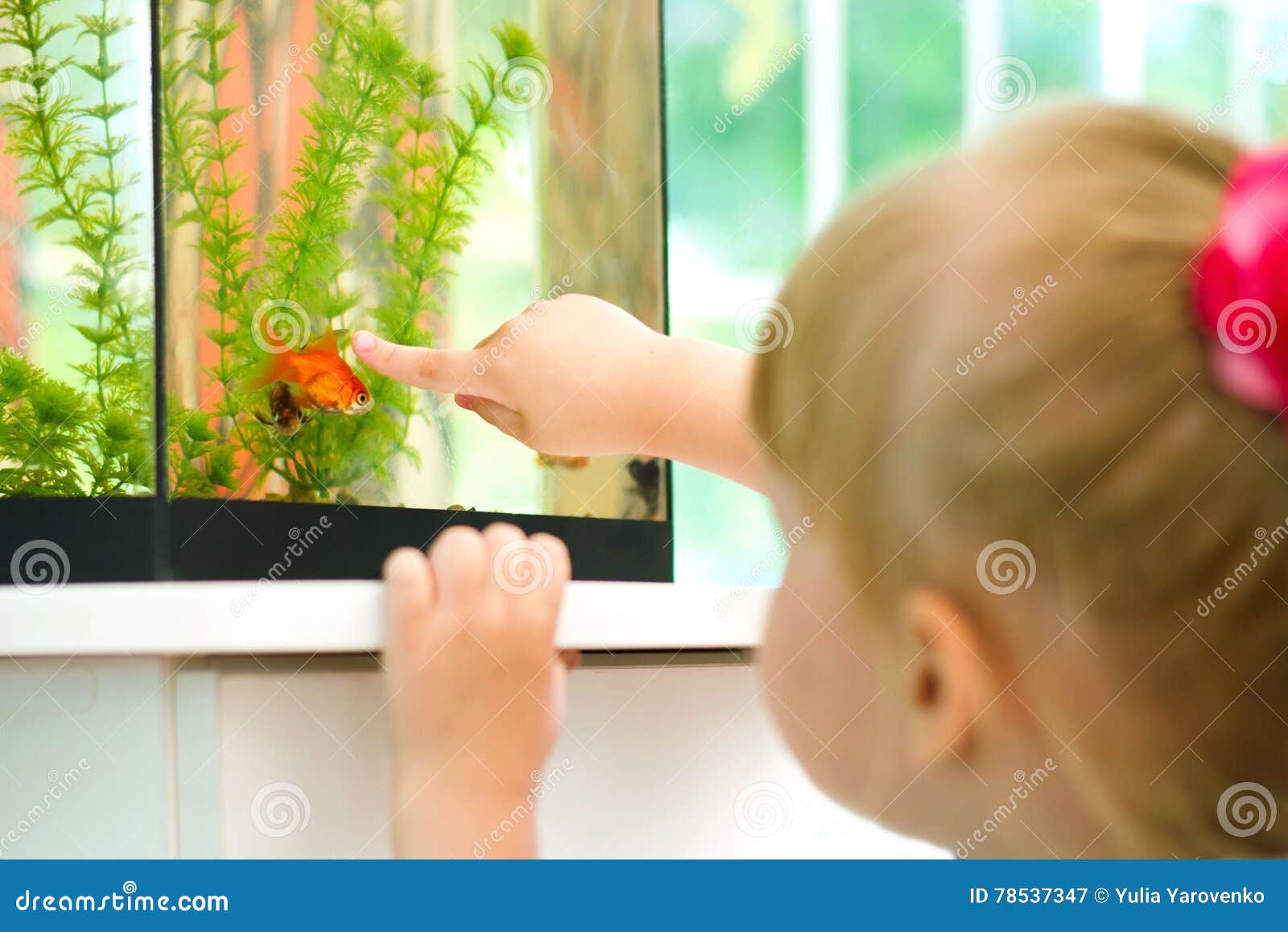Girl and fish in aquarium stock image. Image of silence - 78537347