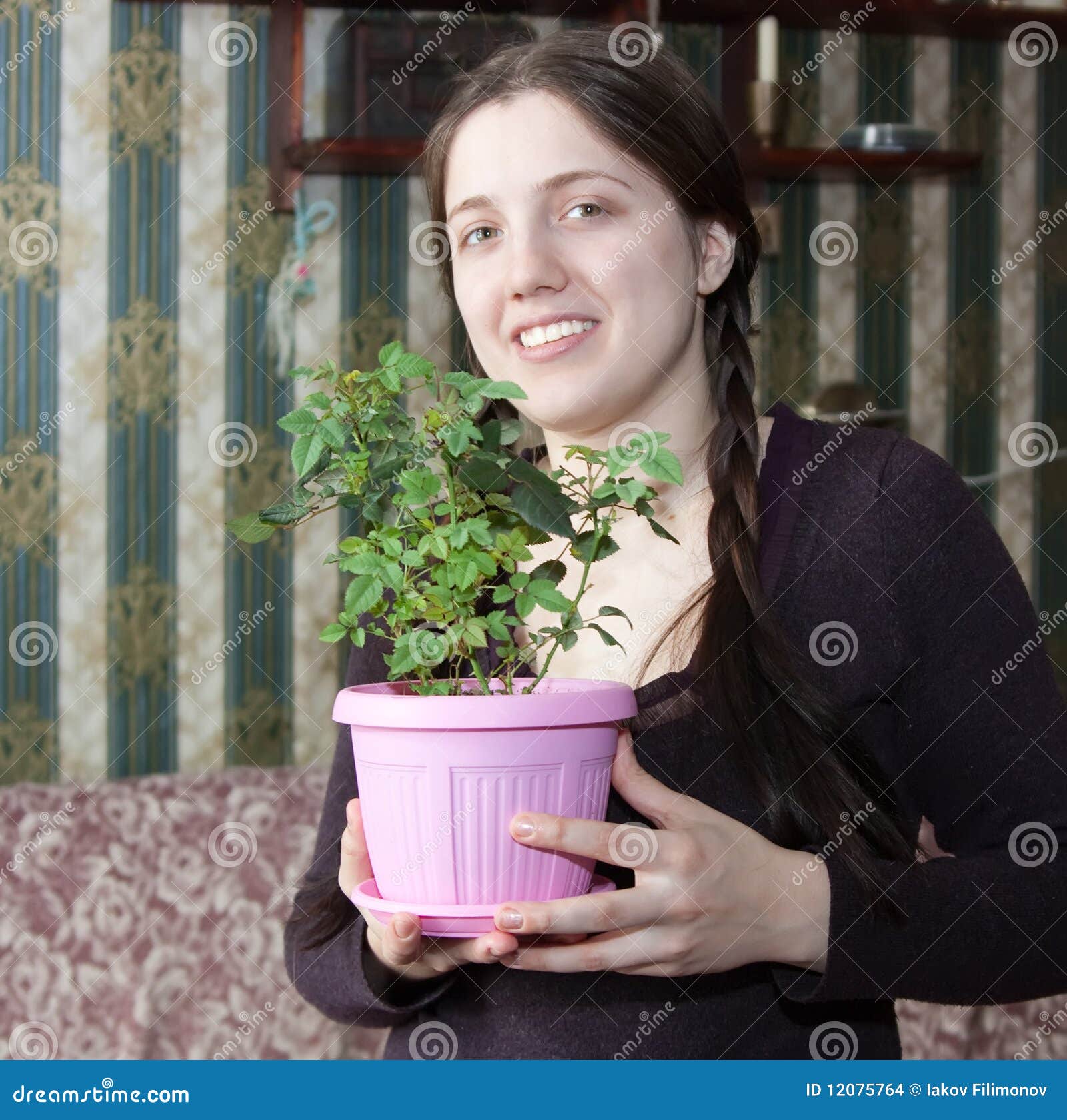Girl with Flower in the Pot Stock Photo - Image of household, domestic ...