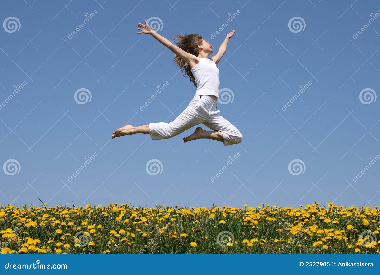 Girl flying in a jump stock image. Image of happy, clothing - 2527905