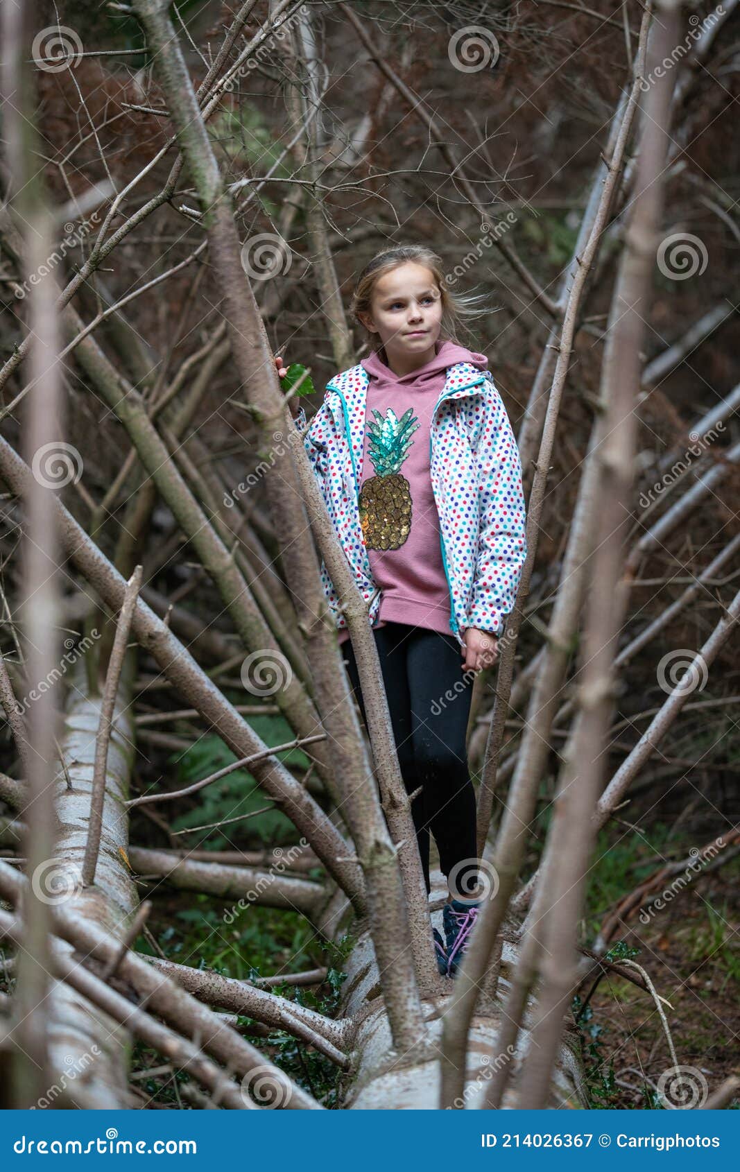Girl in the forest. stock image. Image of park, poses - 214026367