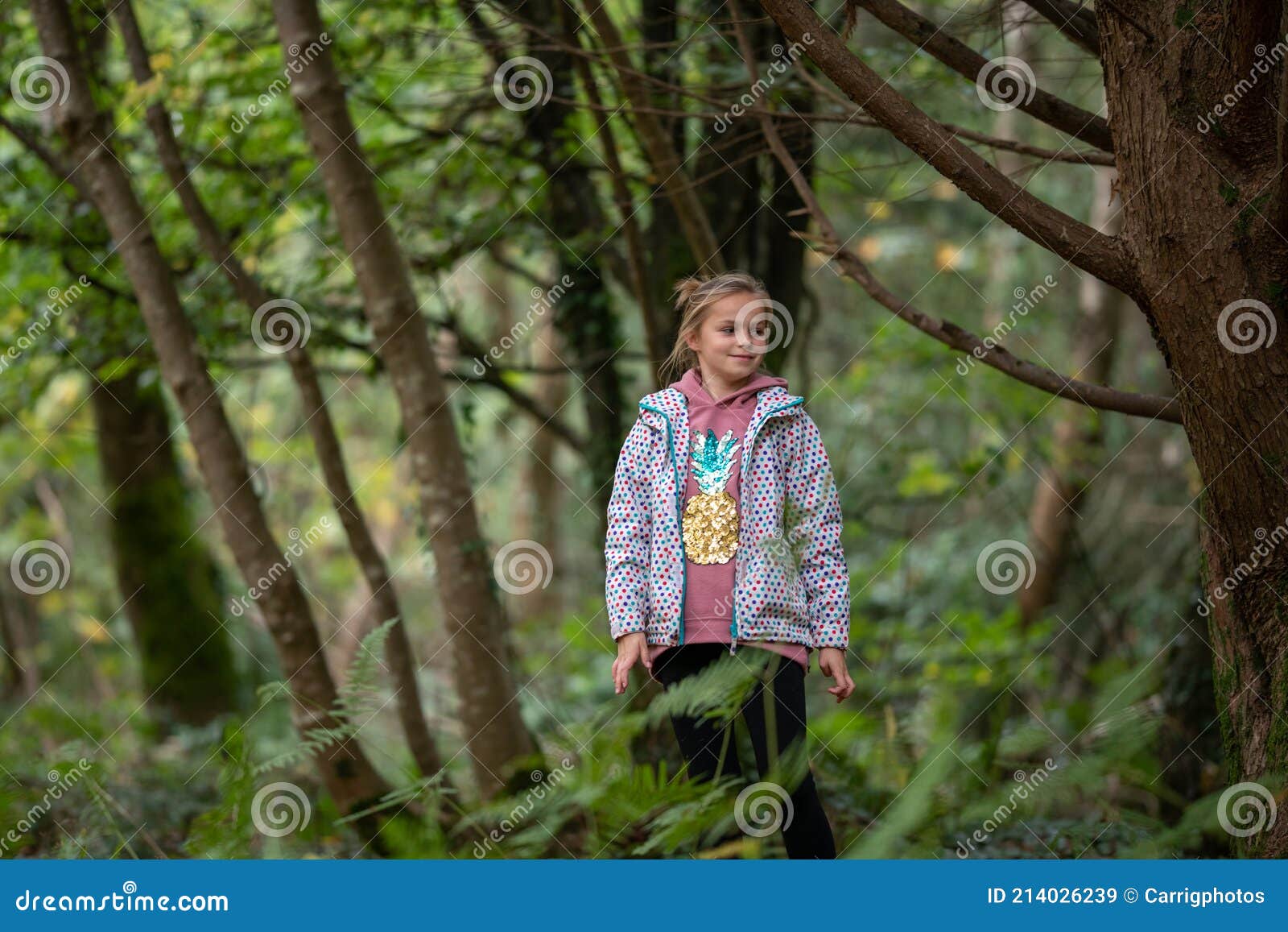 Girl in the forest. stock image. Image of stick, portrait - 214026239