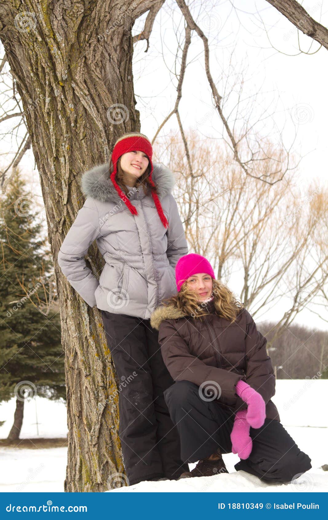 Girl friends on a tree stock image. Image of diverse - 18810349