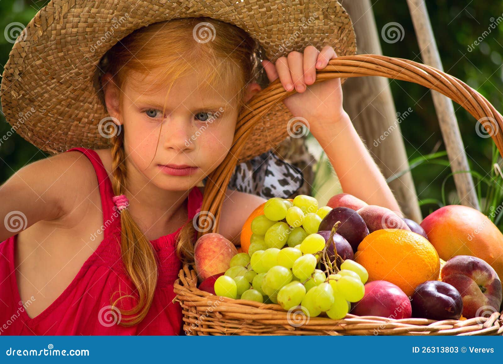 Girl and fruit basket stock image. Image of smile, outdoor - 26313803