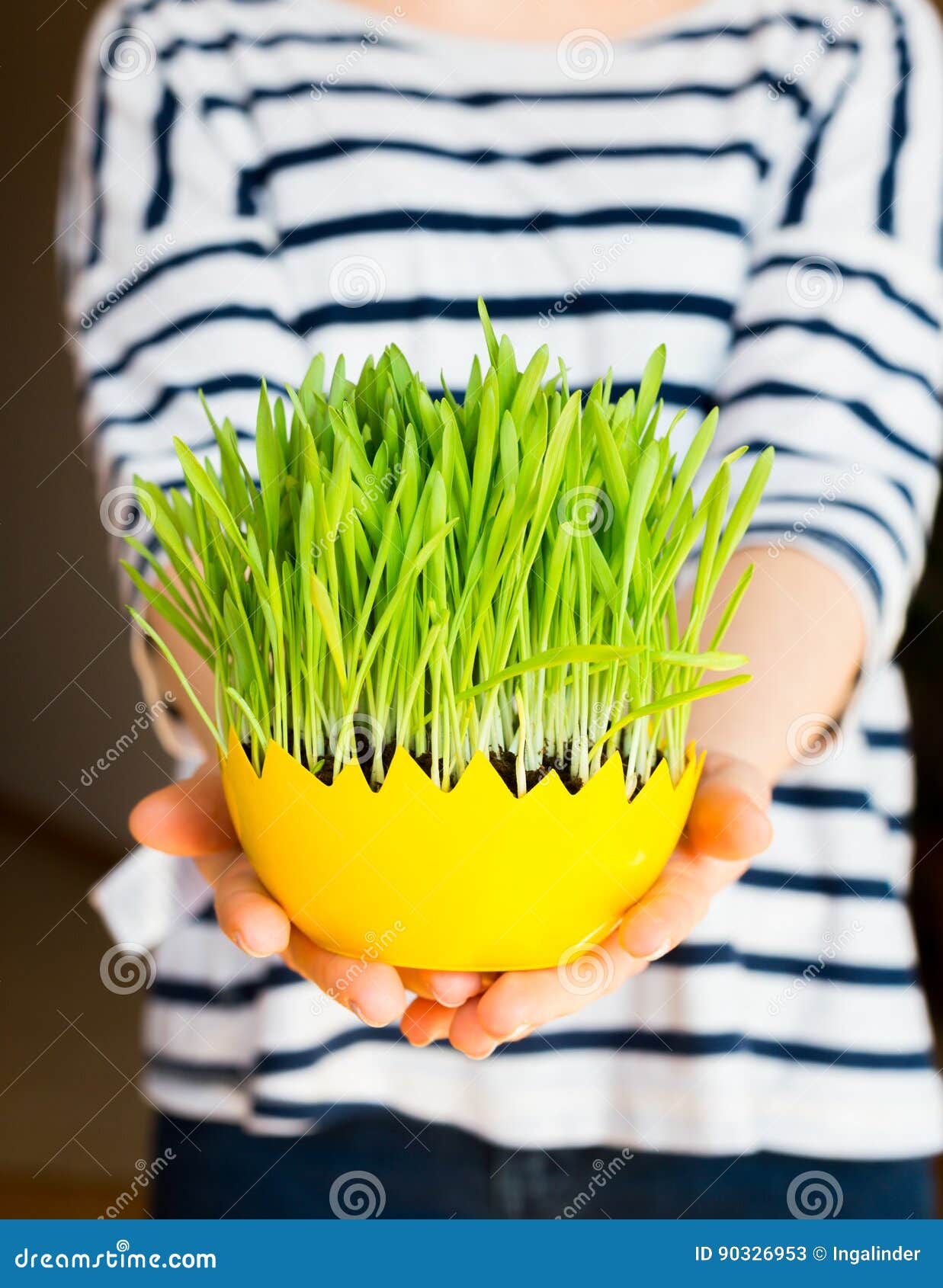 Girl Giving Green Oat Sprouts for Easter Stock Image - Image of basket ...