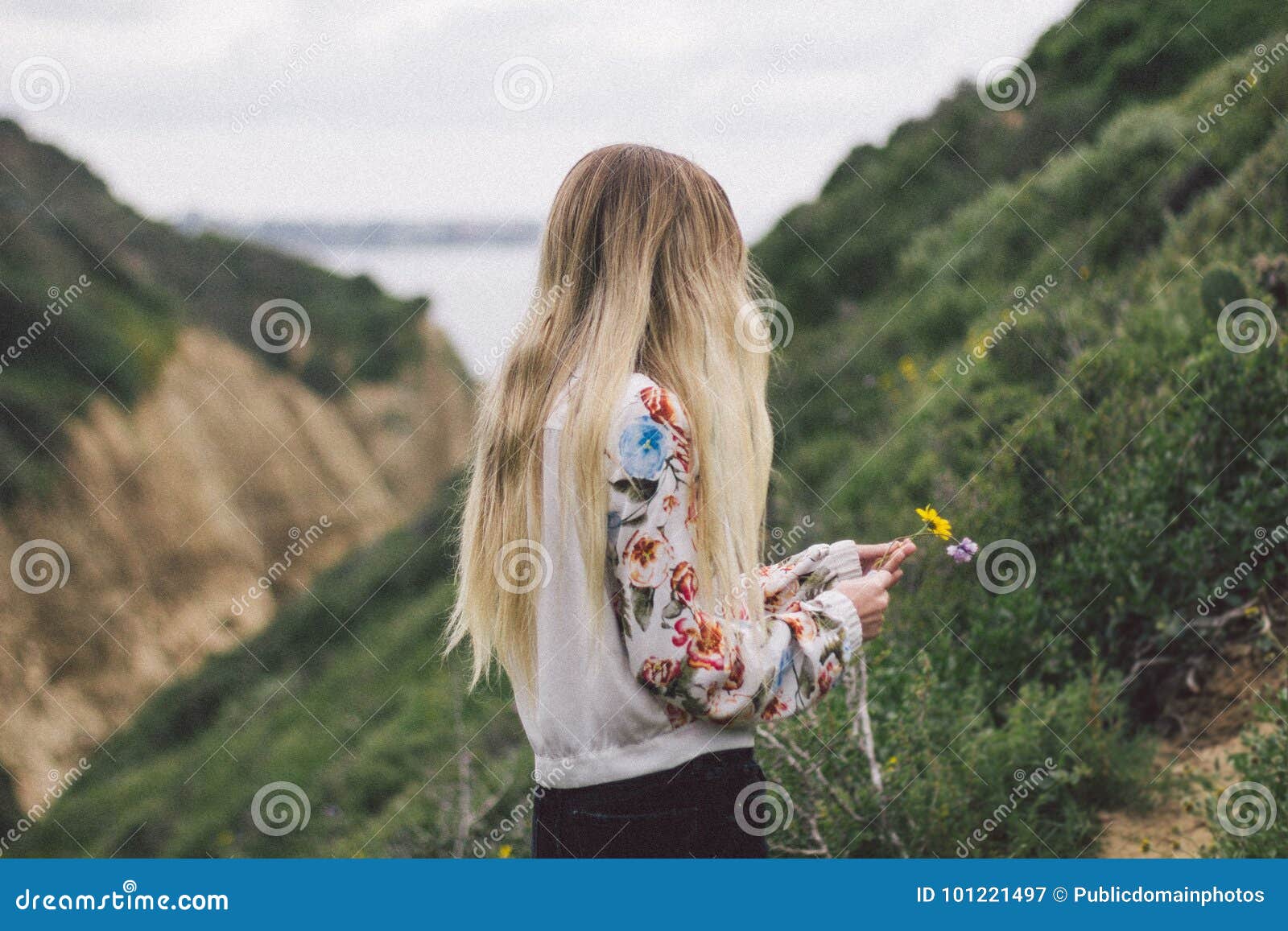 Girl, Grass, Tree, Long Hair Picture. Image: 101221497
