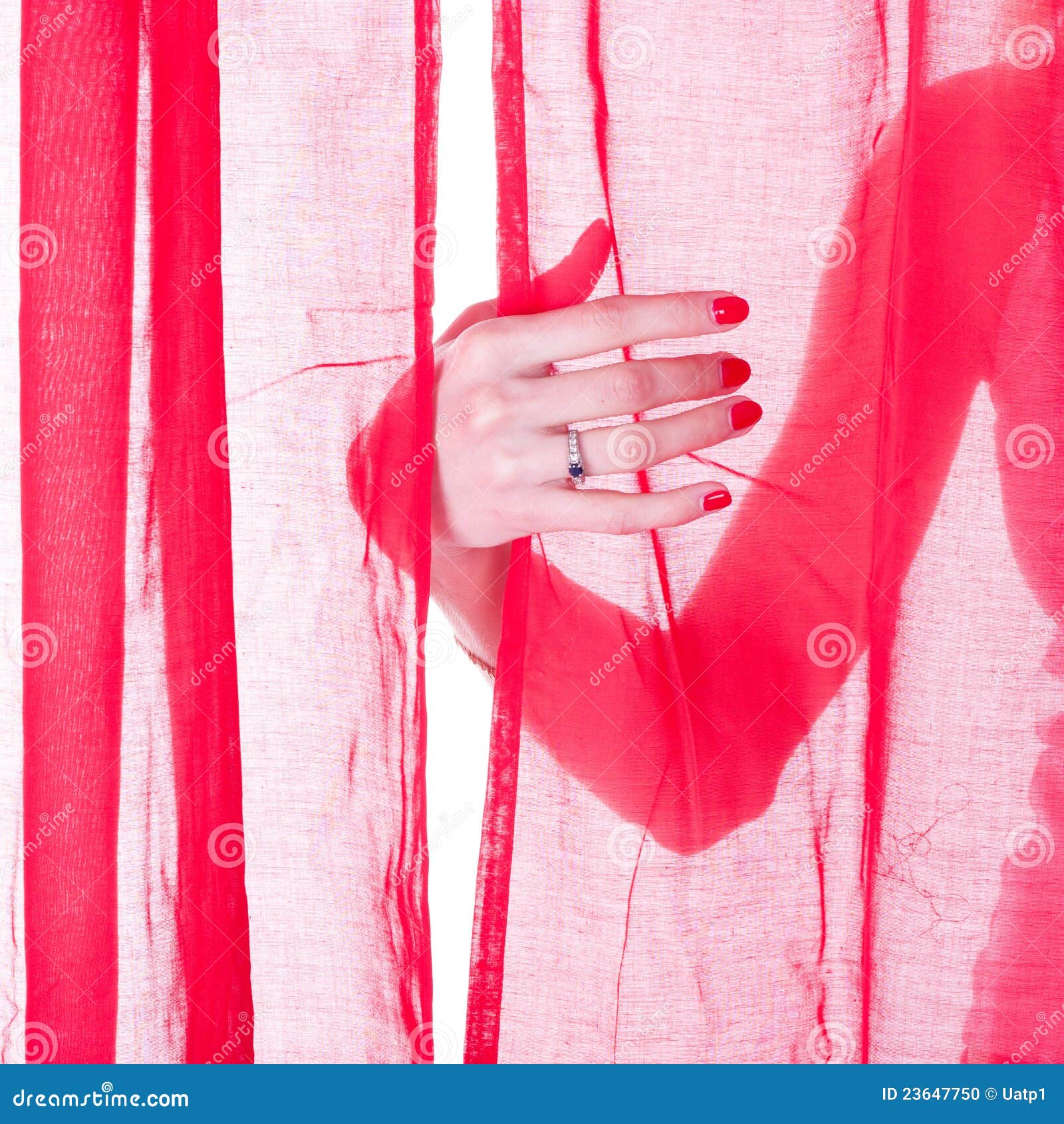 Girl hand stock photo. Image of woman, girl, people, female - 23647750