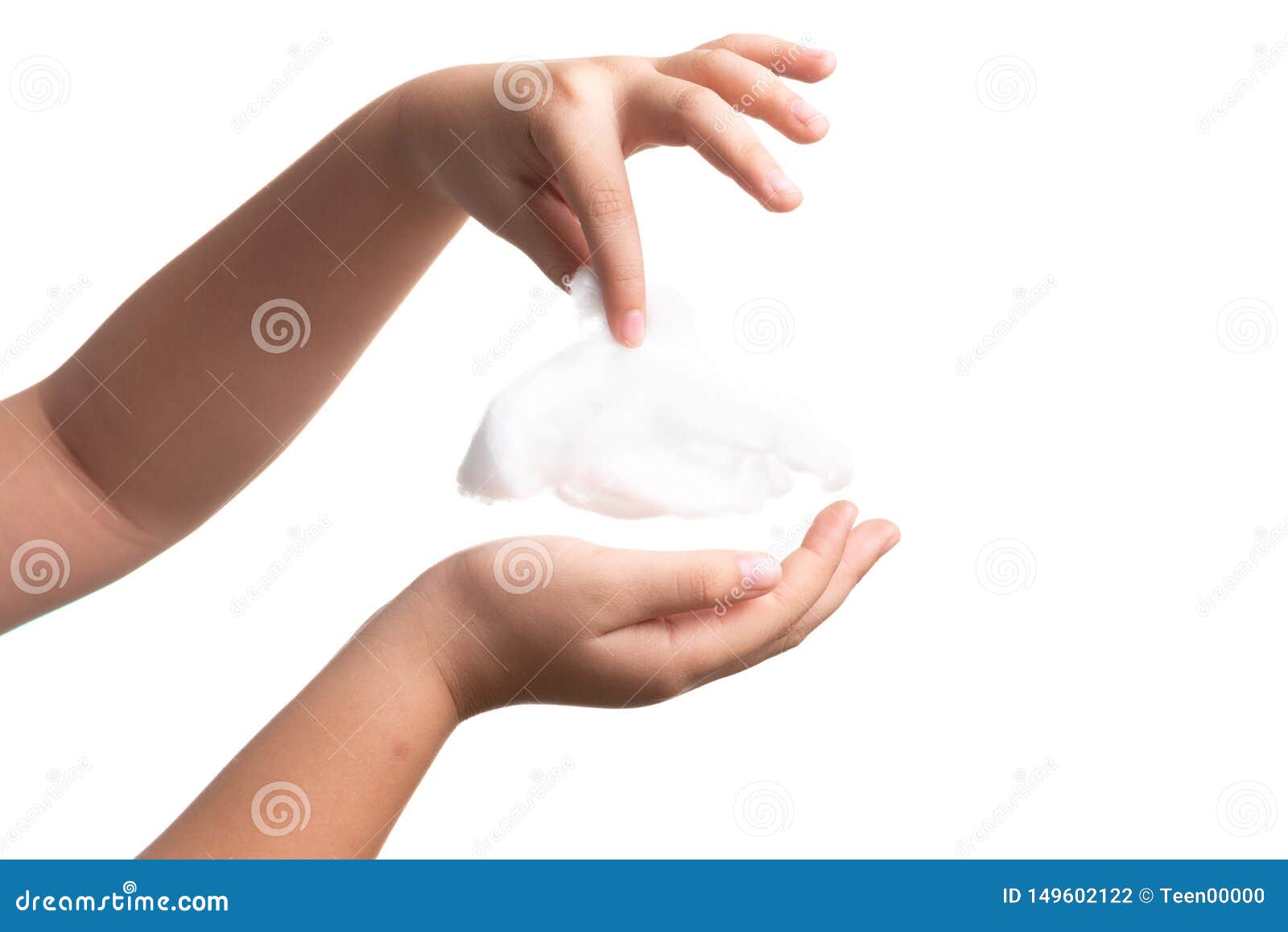 Girl Hand Hold Cotton Wool Isolate on White Background Stock Photo ...