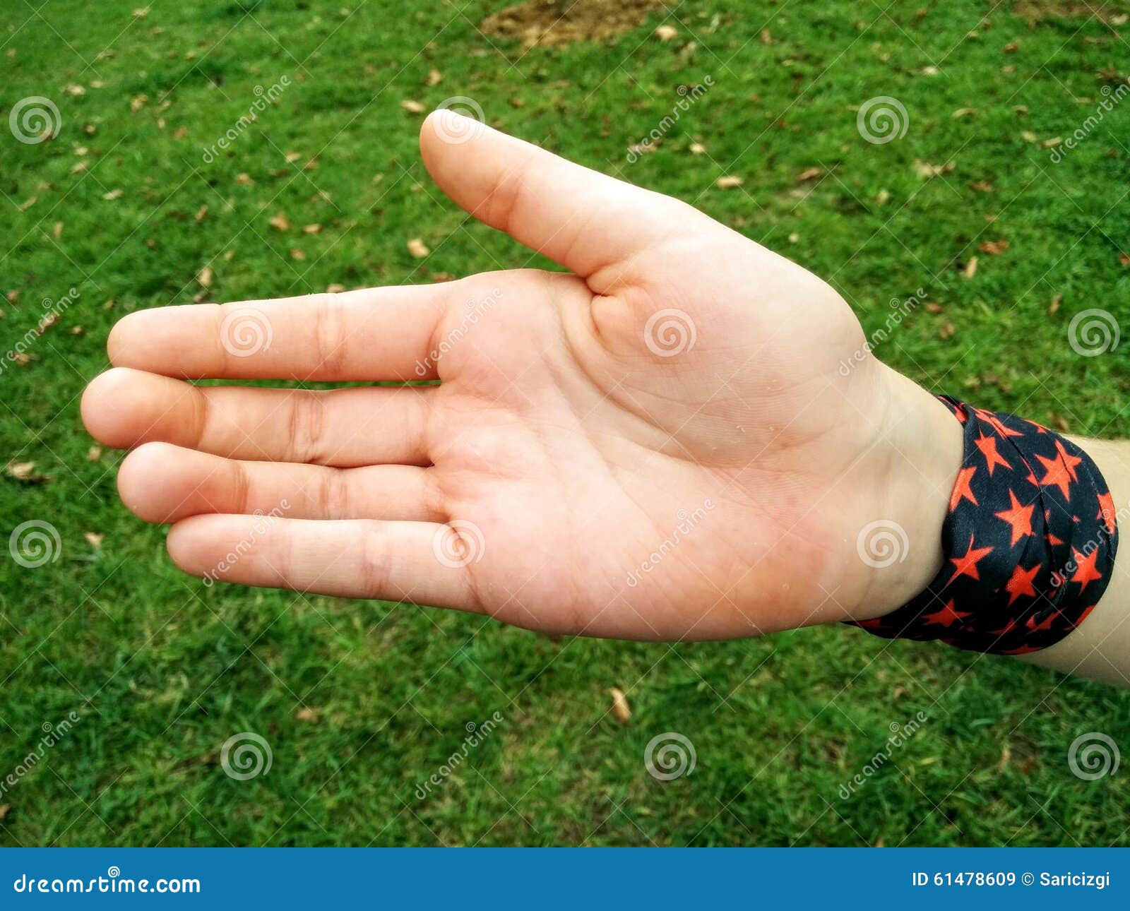 A girl hand stock image. Image of fortune, palm, young - 61478609