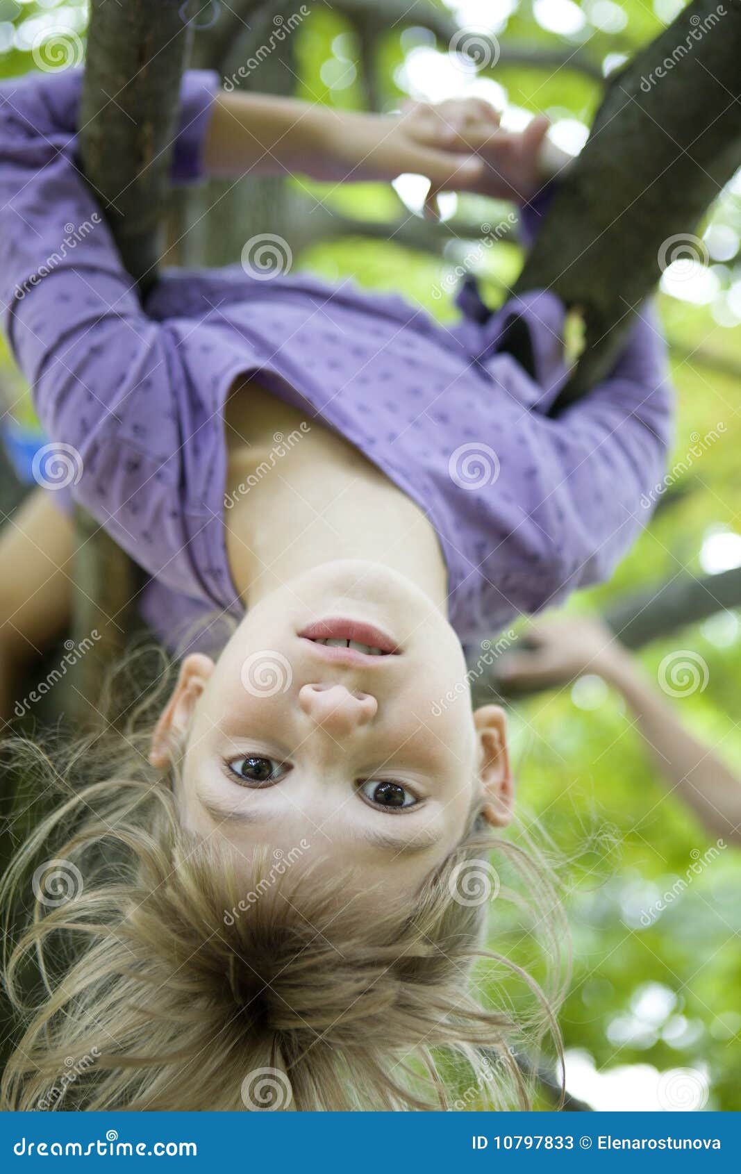 Girl Hang from a Tree in the Backyard Stock Image - Image of summer ...