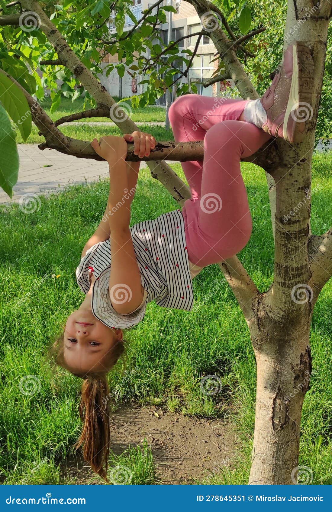 Girl Of The Hanging Tree Stock Image Image Of Beautiful 278645351