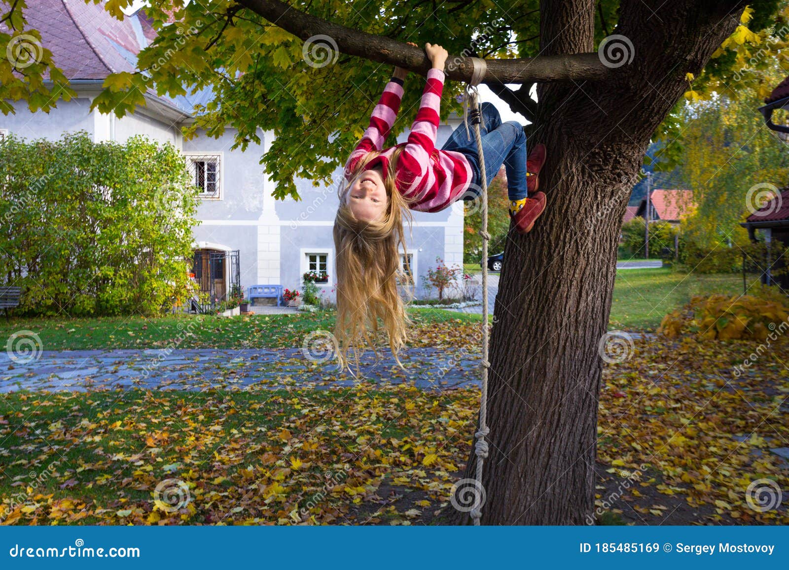 Girl hanging on a tree stock image. Image of happiness - 185485169