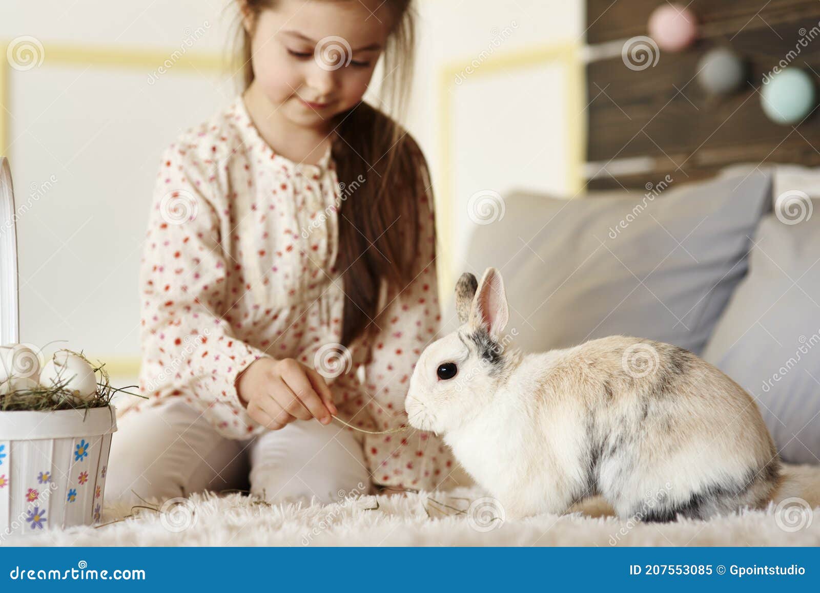 Girl Having Fun with Rabbit on the Bed Stock Image - Image of animal ...