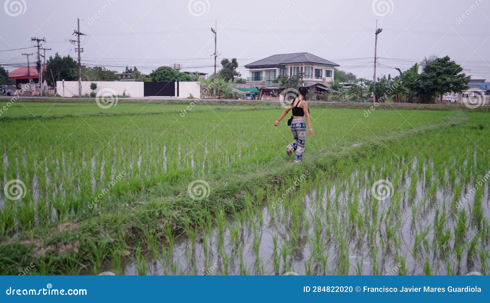 Girl Having Fun on the Road in the Paddy Fields Stock Footage - Video ...