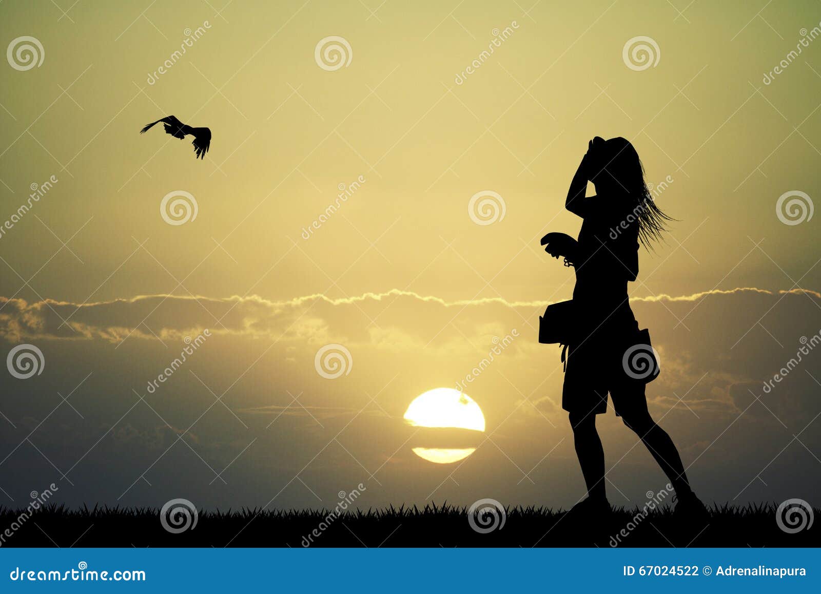 Falconry, Girl And Falcon On A Card, Flat Cartoon Vector Illustration ...