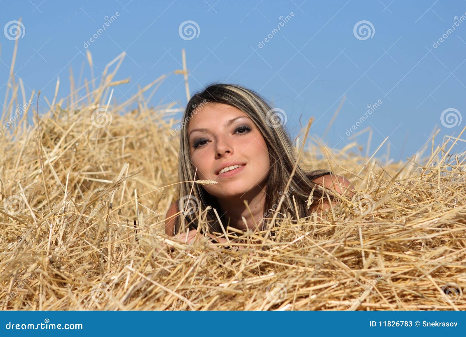 Girl in a hay stock image. Image of sunlight, straw, carefree - 11826783