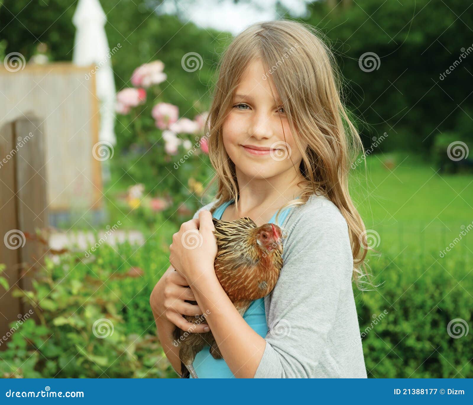 Girl with hen stock image. Image of summer, bird, little - 21388177