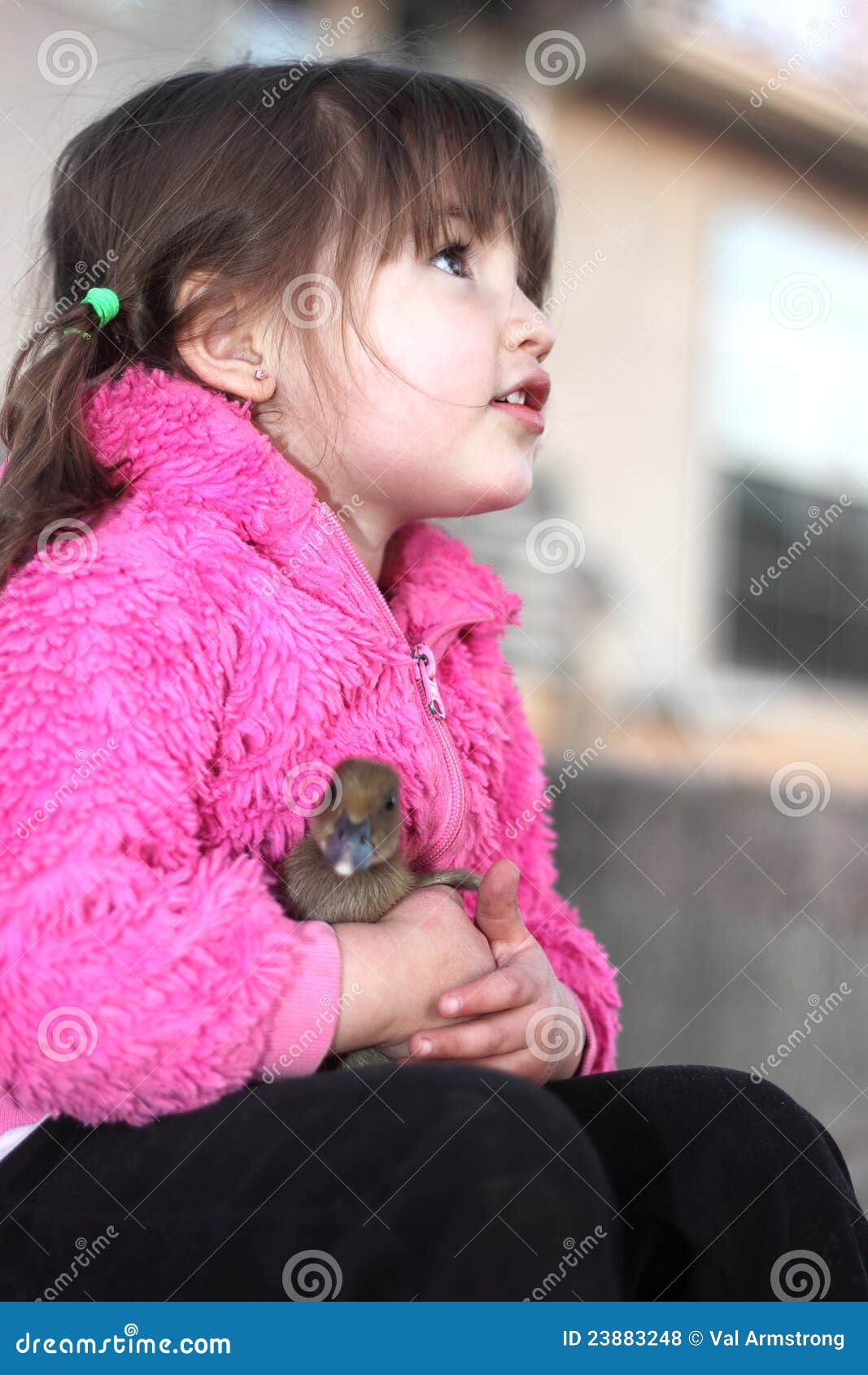 A Girl and Her Baby Duck stock photo. Image of happy - 23883248