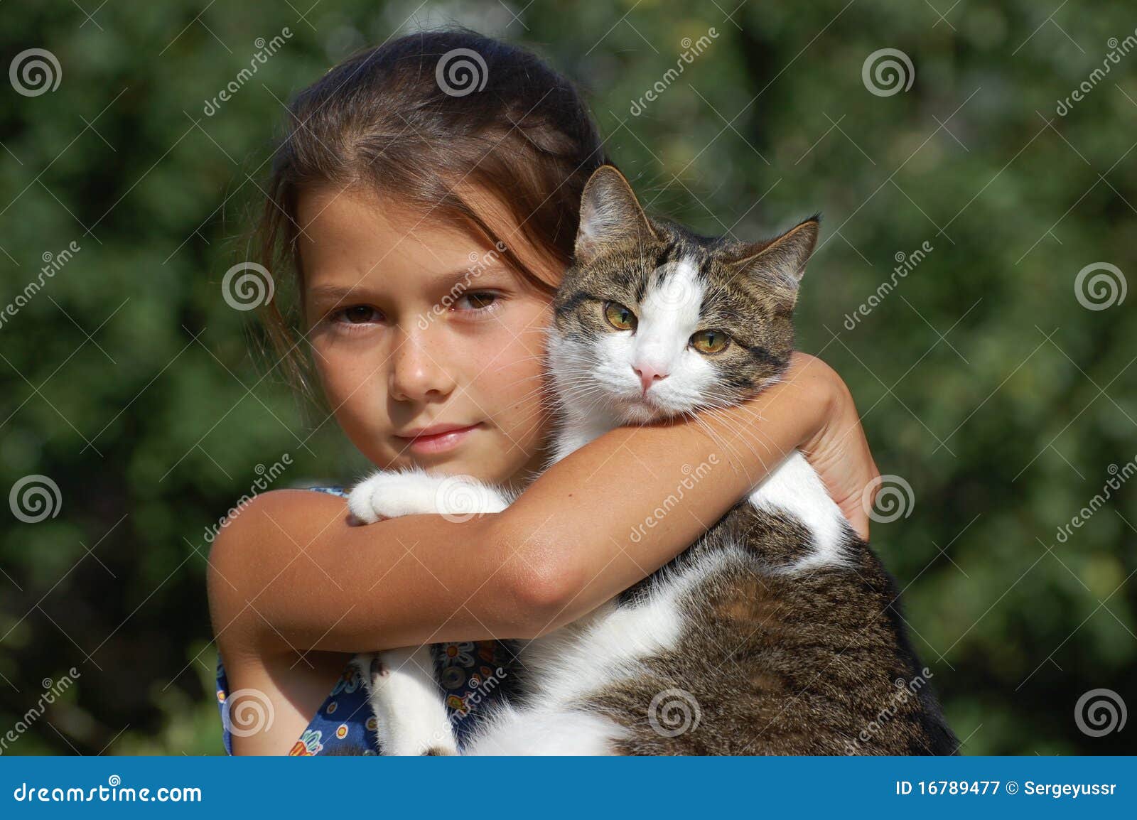 Girl with her cat stock image. Image of summer, girl - 16789477