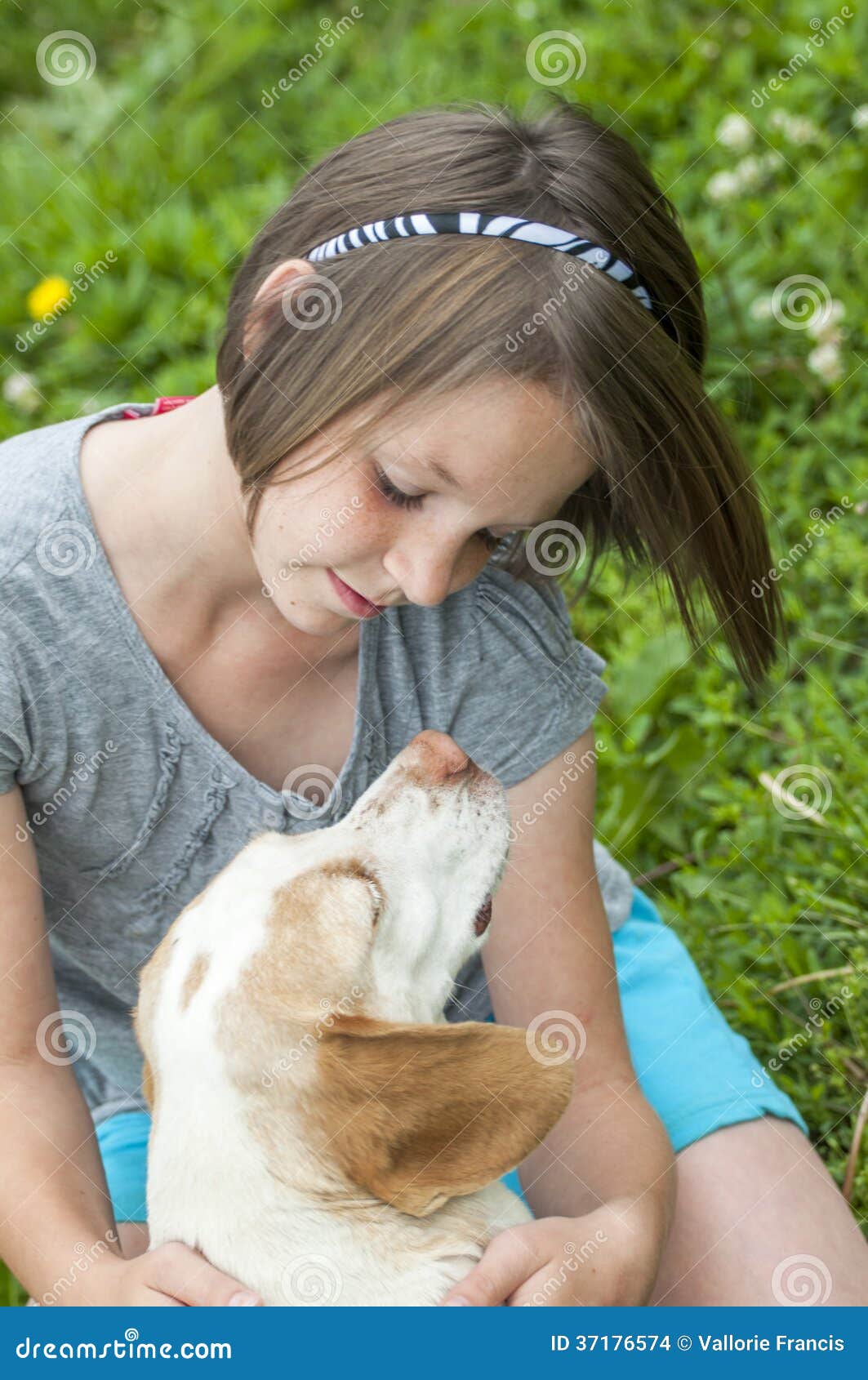 A girl and her dog stock photo. Image of friend, together - 37176574