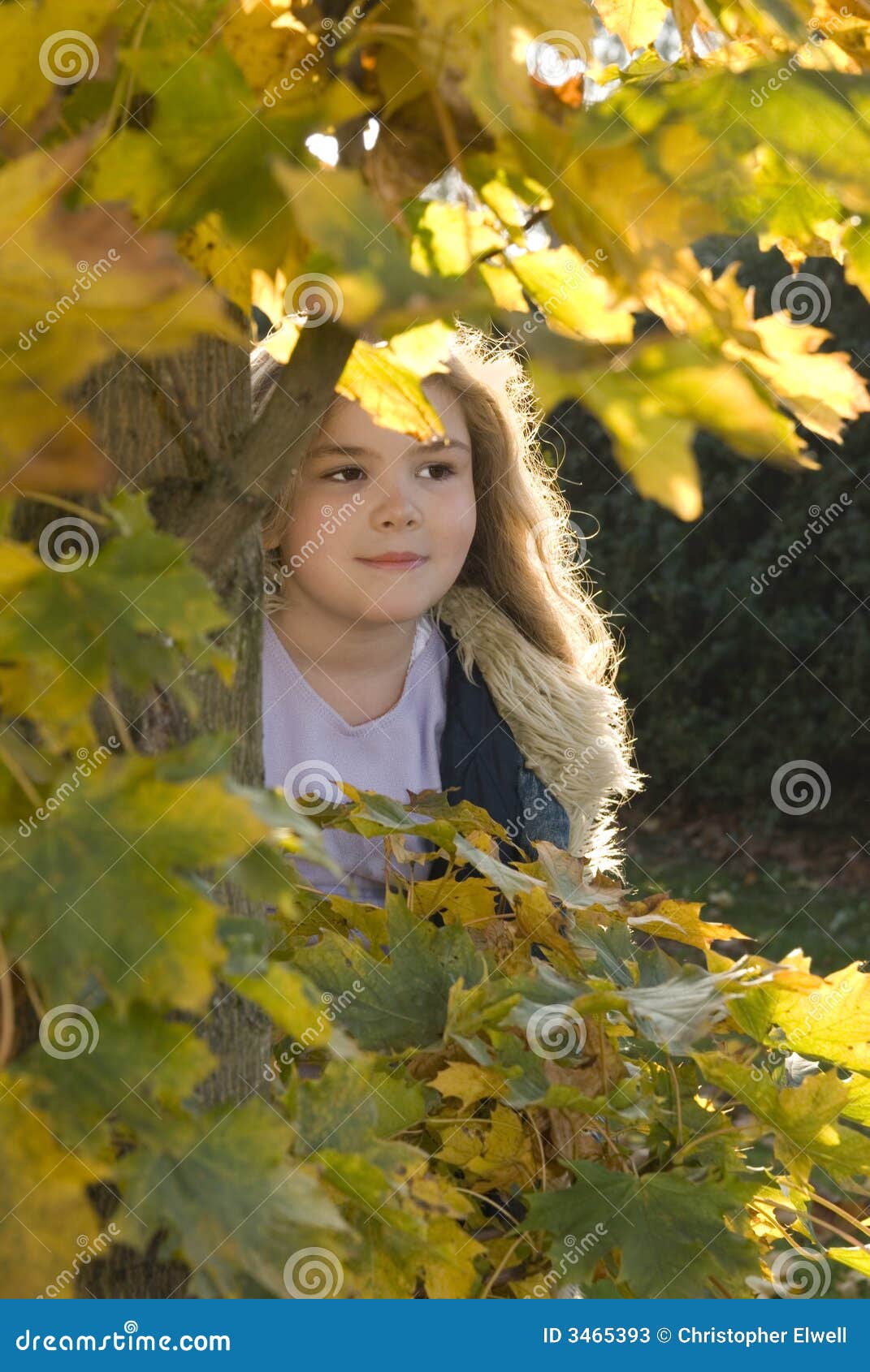 Girl hiding behind tree stock image. Image of outdoor - 3465393