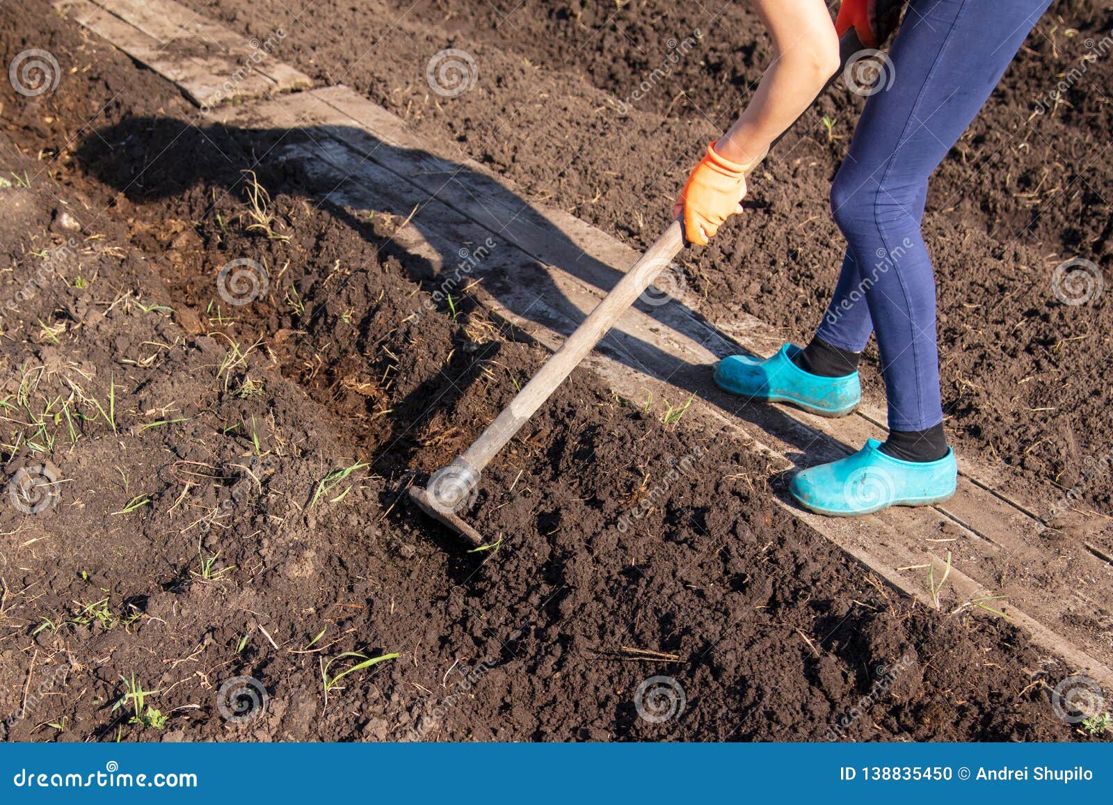 Girl with a Hoe in the Garden Stock Photo - Image of farm, rural: 138835450