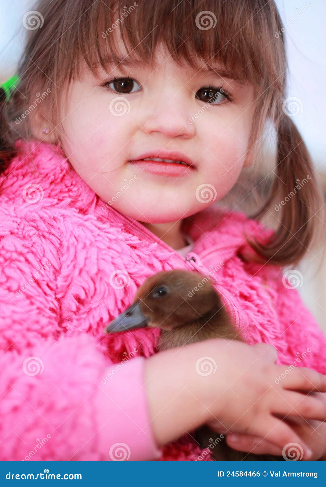 Girl Holding Baby Duck stock photo. Image of fuzzy, adorable - 24584466