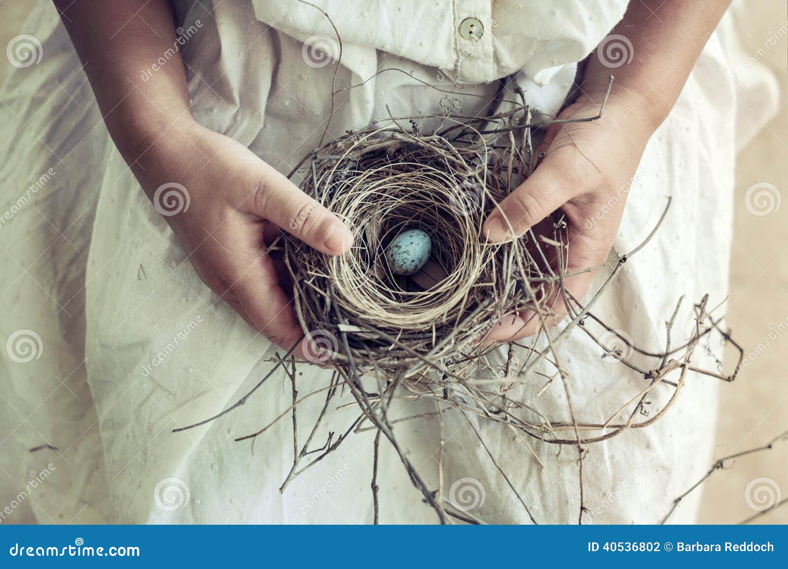 Egg Girl Hatching Stock Photos - Free & Royalty-Free Stock Photos from ...