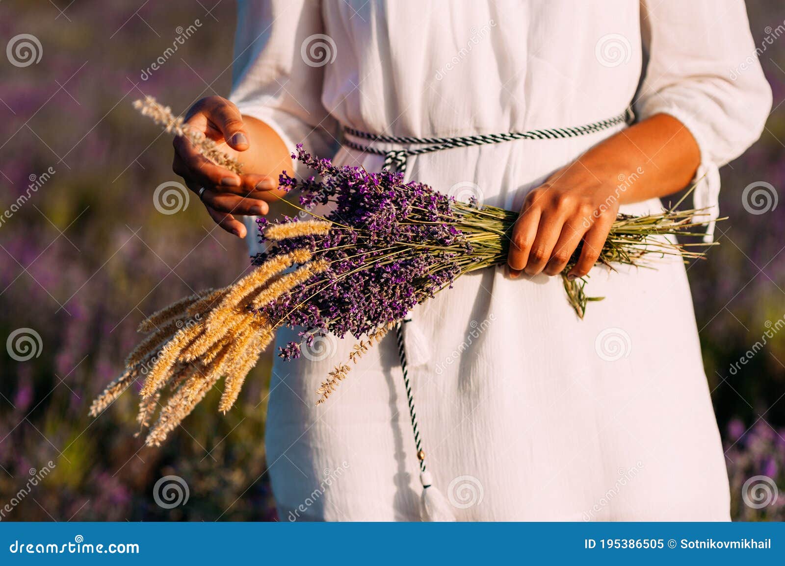 Young Woman Holding A Bouquet Of Lavender Close Up Woman Gathering
