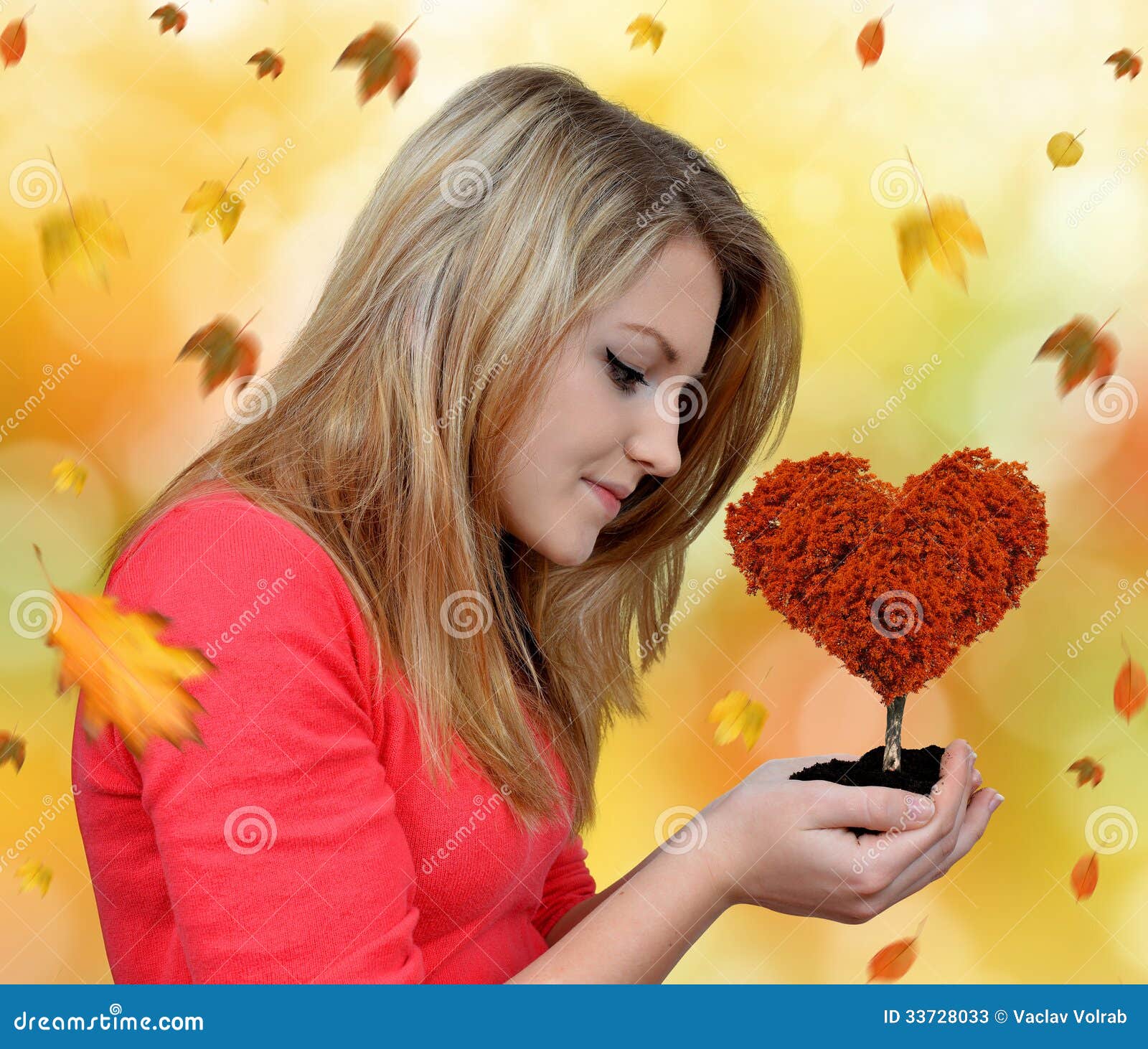Girl Holding in Hand Autumnal Tree Stock Image - Image of growing ...