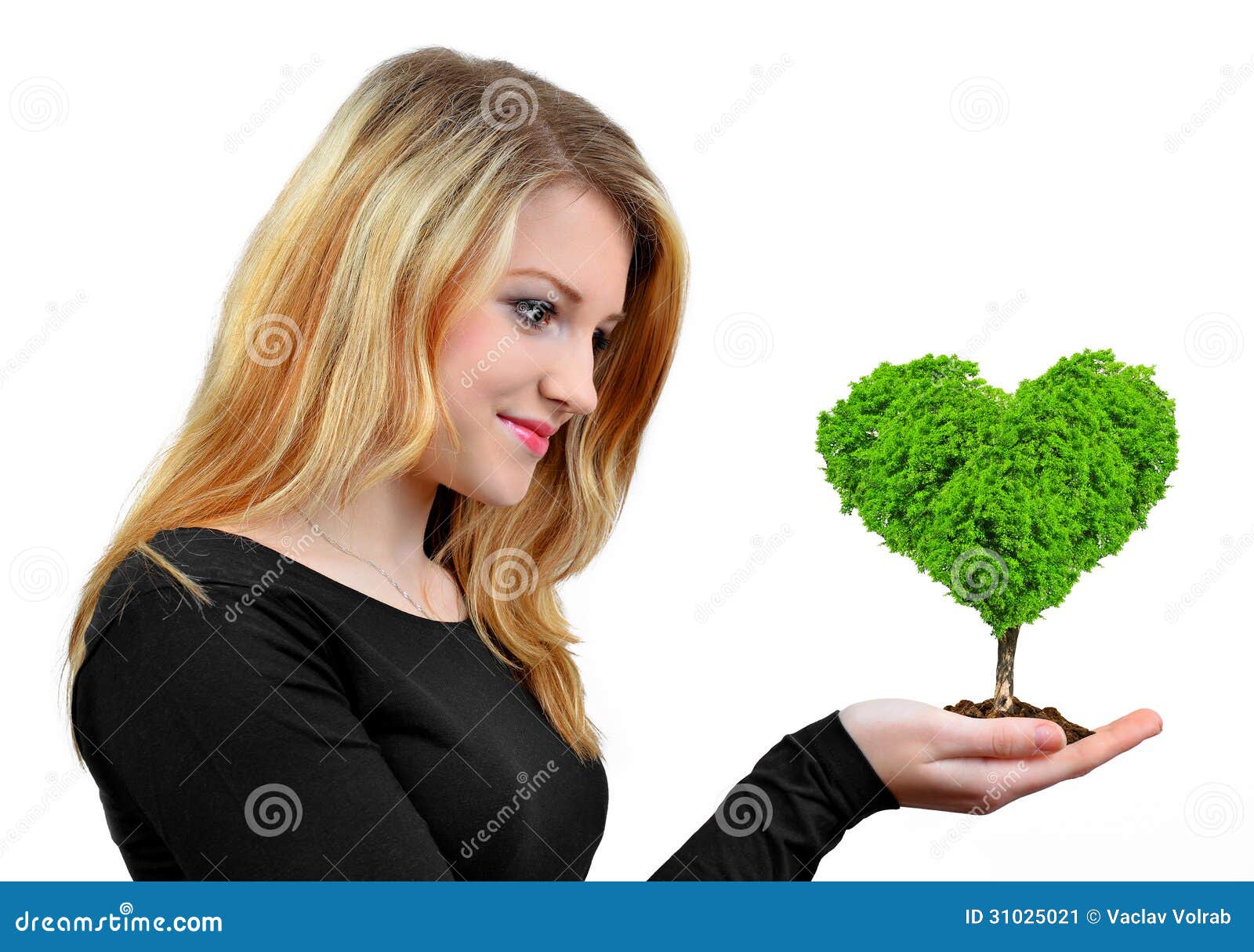 Girl holding in hand tree stock image. Image of organic - 31025021