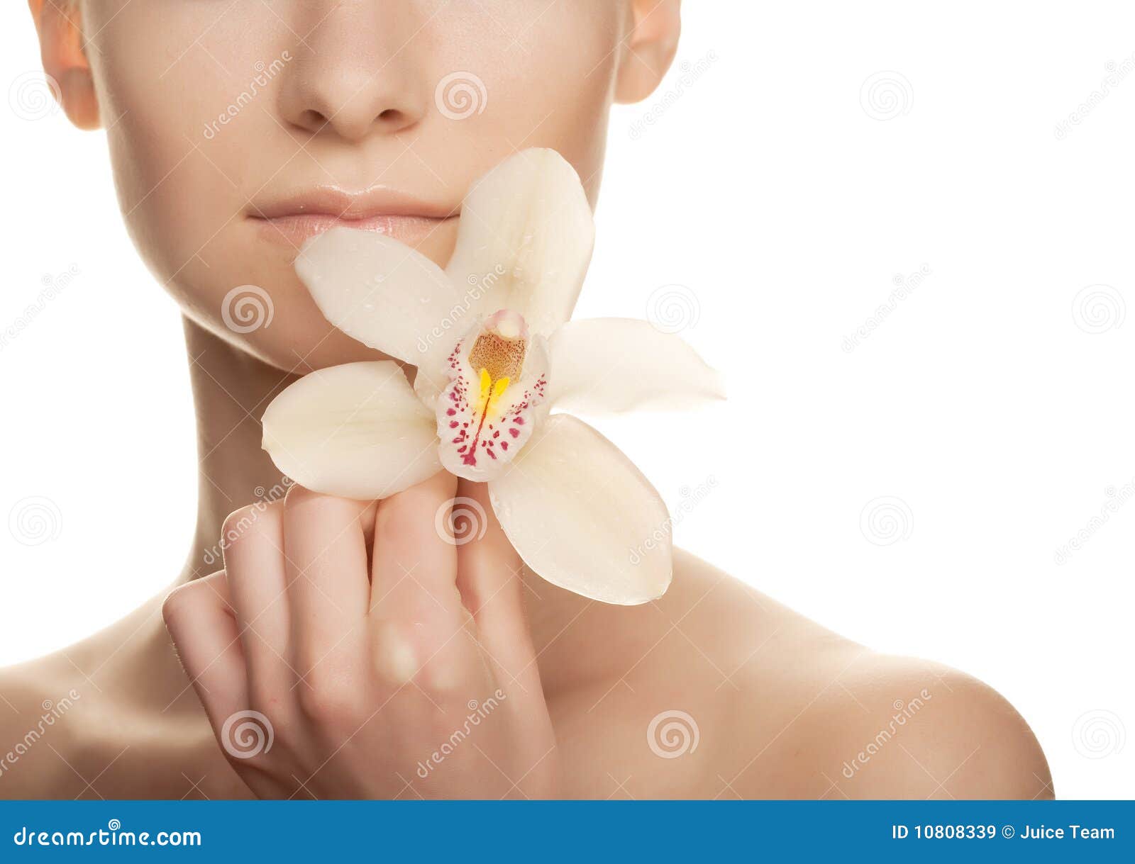 Girl Holding Orchid Flower Stock Image Image Of Beauty 10808339