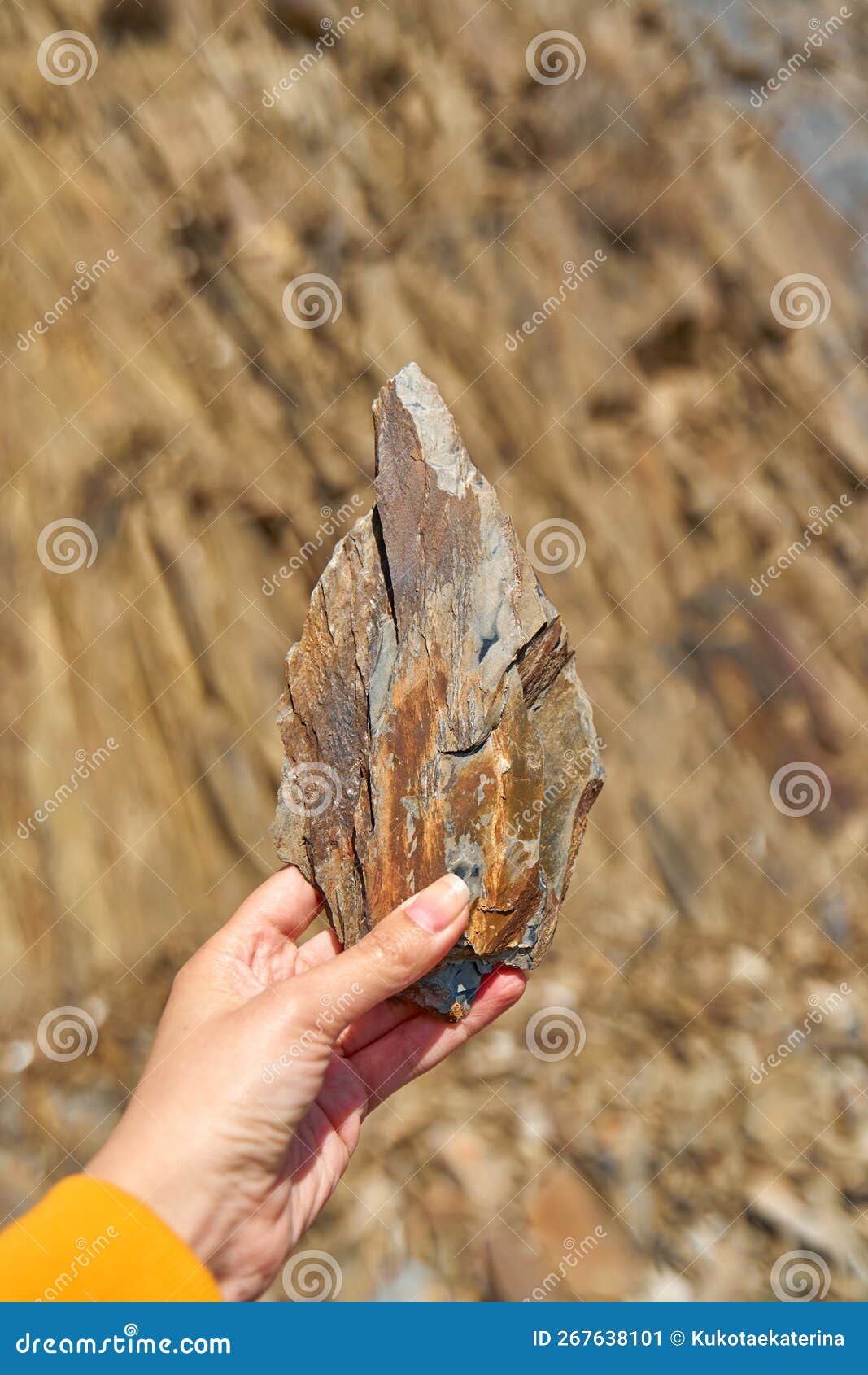 A Girl is Holding a Rock that Has Fallen Off a Rock. the Stone ...