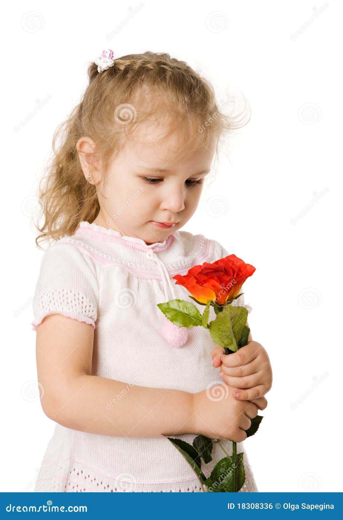 Girl holding rose stock photo. Image of child, girl, care - 18308336