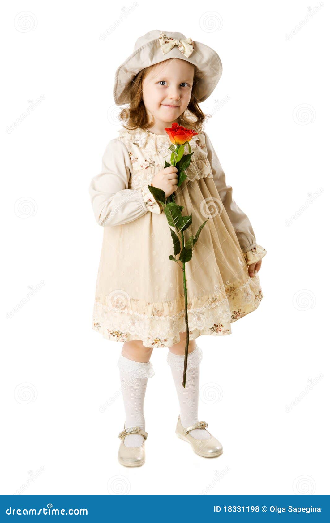 Girl holding rose stock photo. Image of beige, little - 18331198