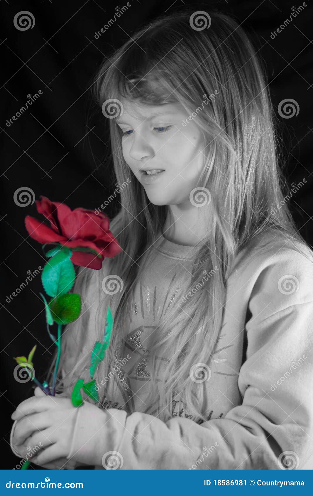 Girl holding a rose. stock image. Image of grinning, youthful - 18586981