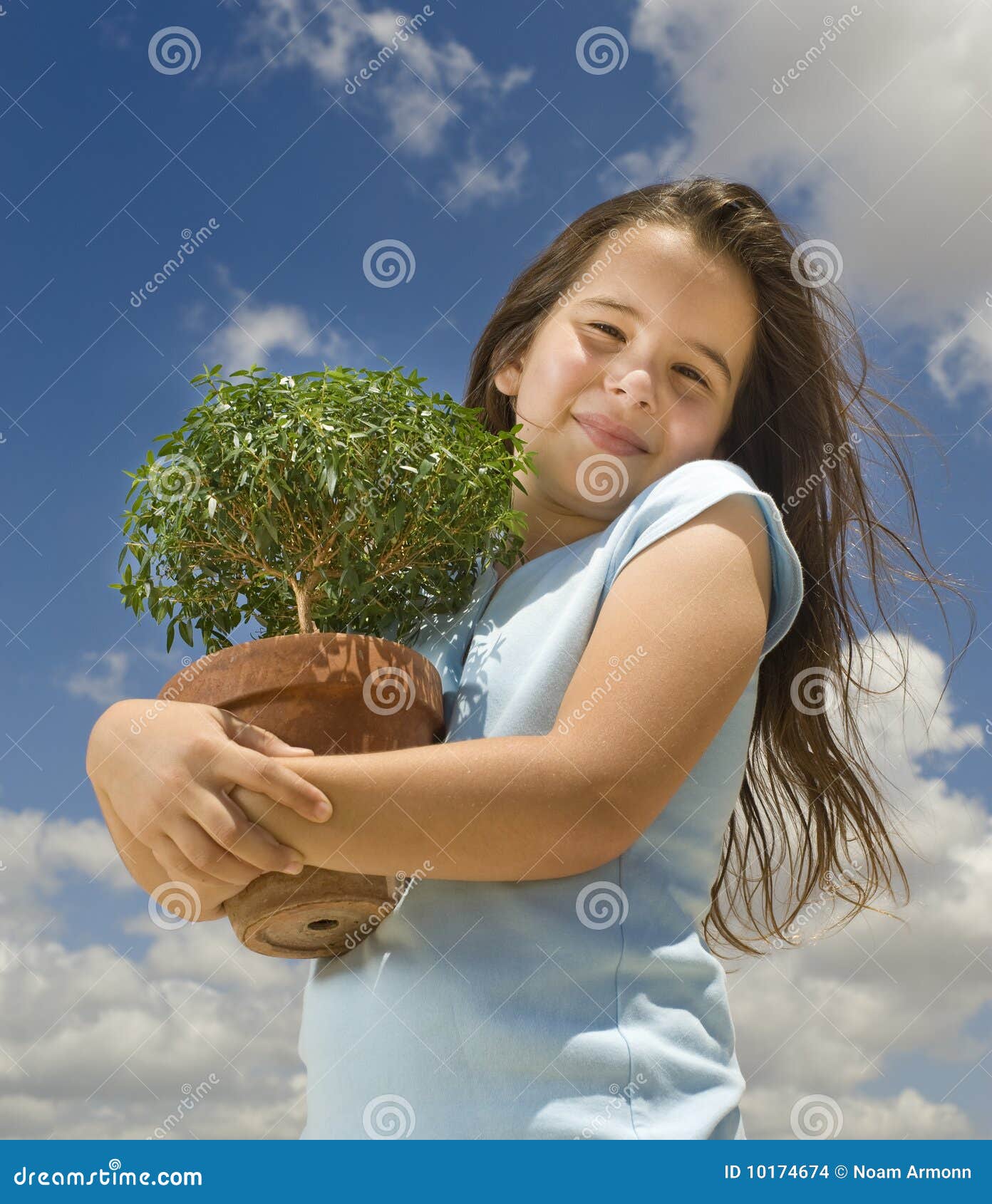 Girl holding small tree stock photo. Image of foliage - 10174674