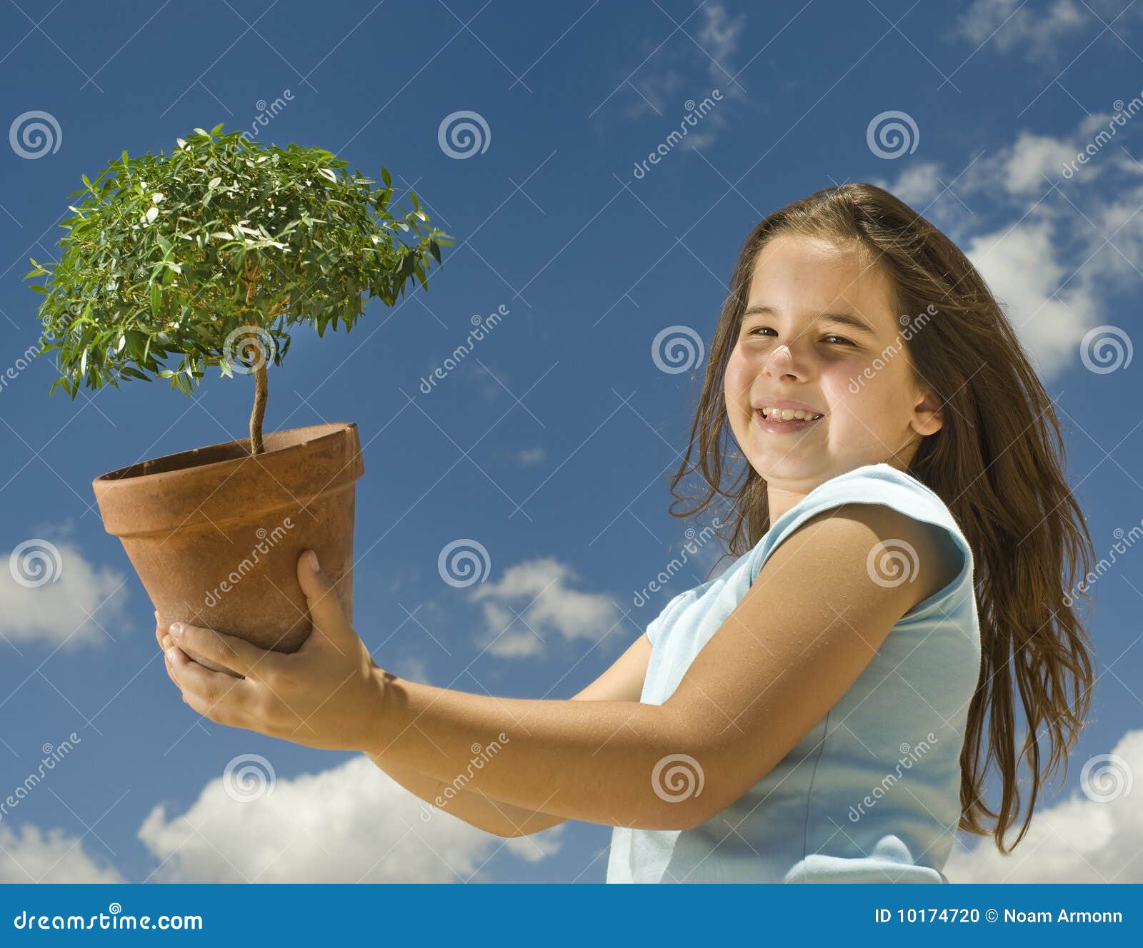 Girl holding small tree stock photo. Image of hobby, leaf - 10174720